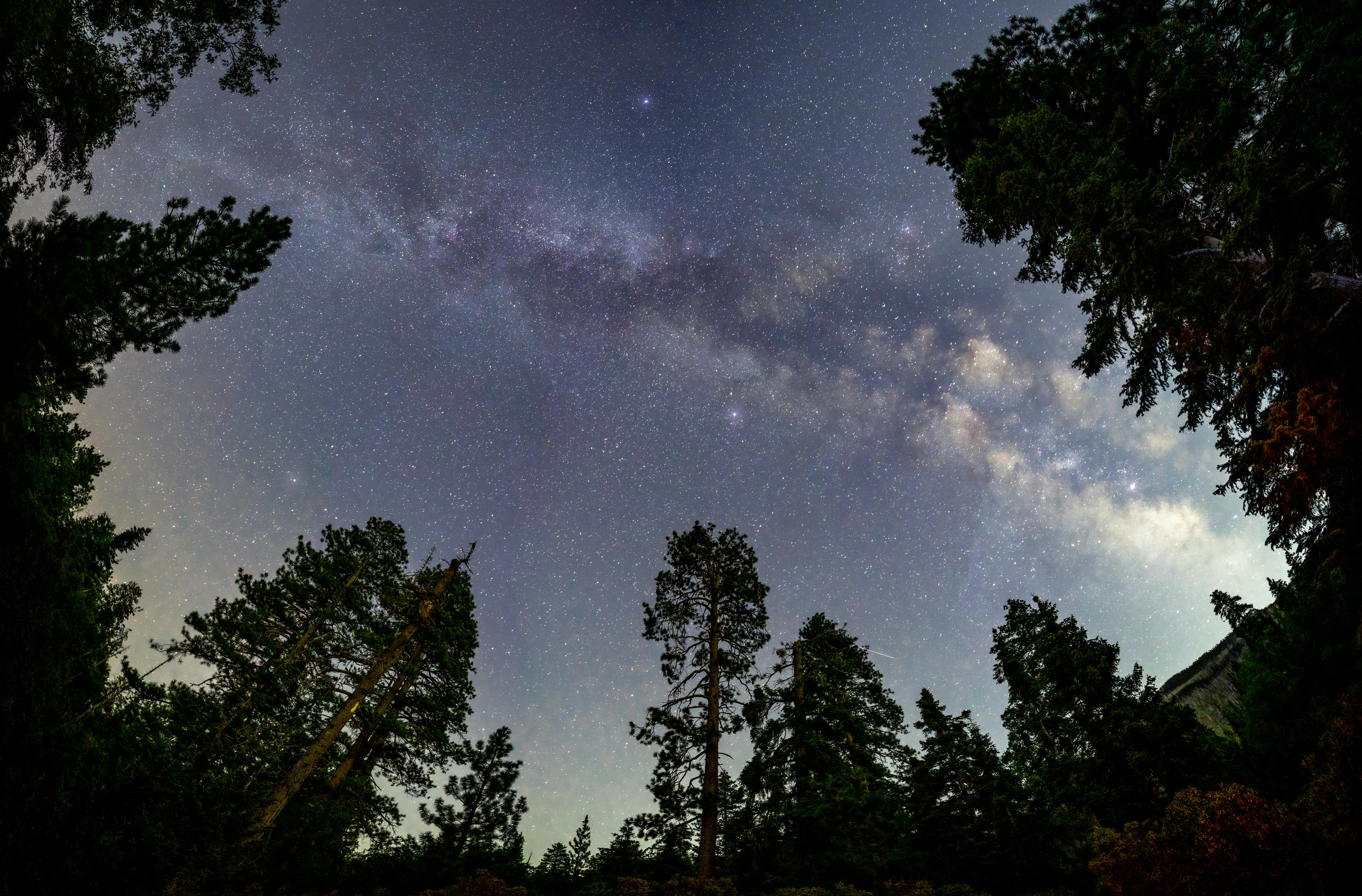 ángelus Photos, Download The BEST Free ángelus Stock Photos & HD Images