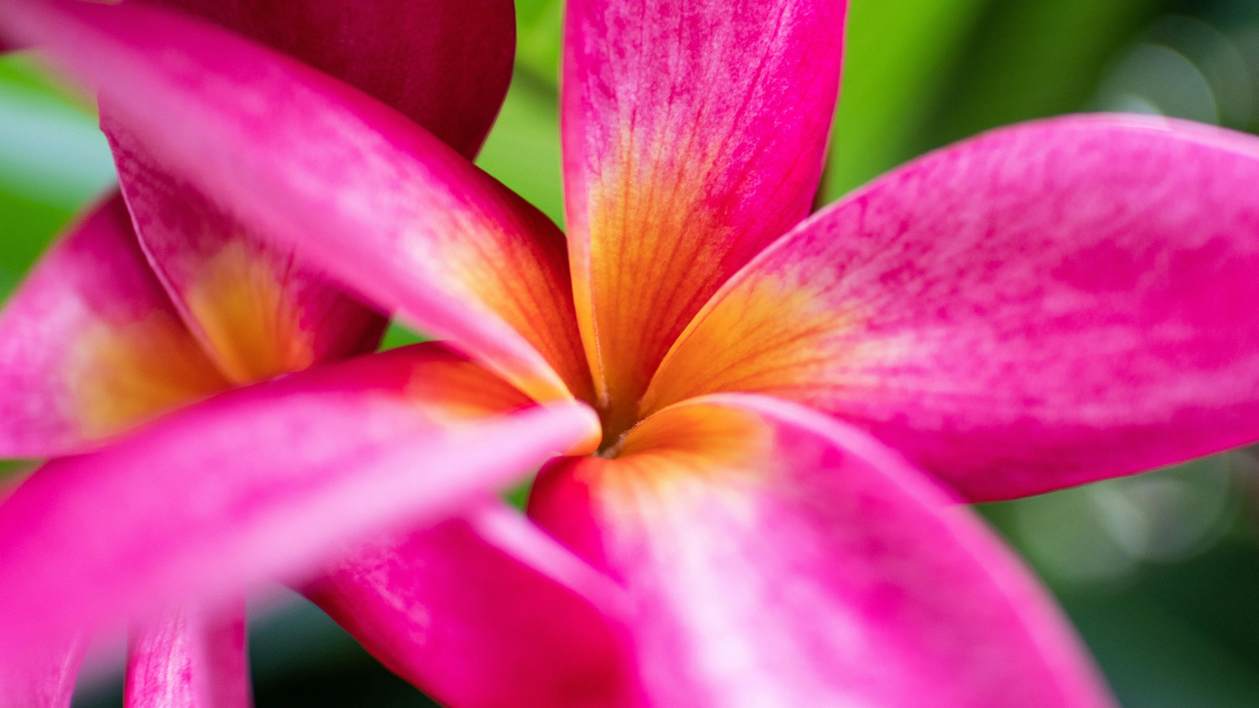 Leonid Danilov - Fotografía