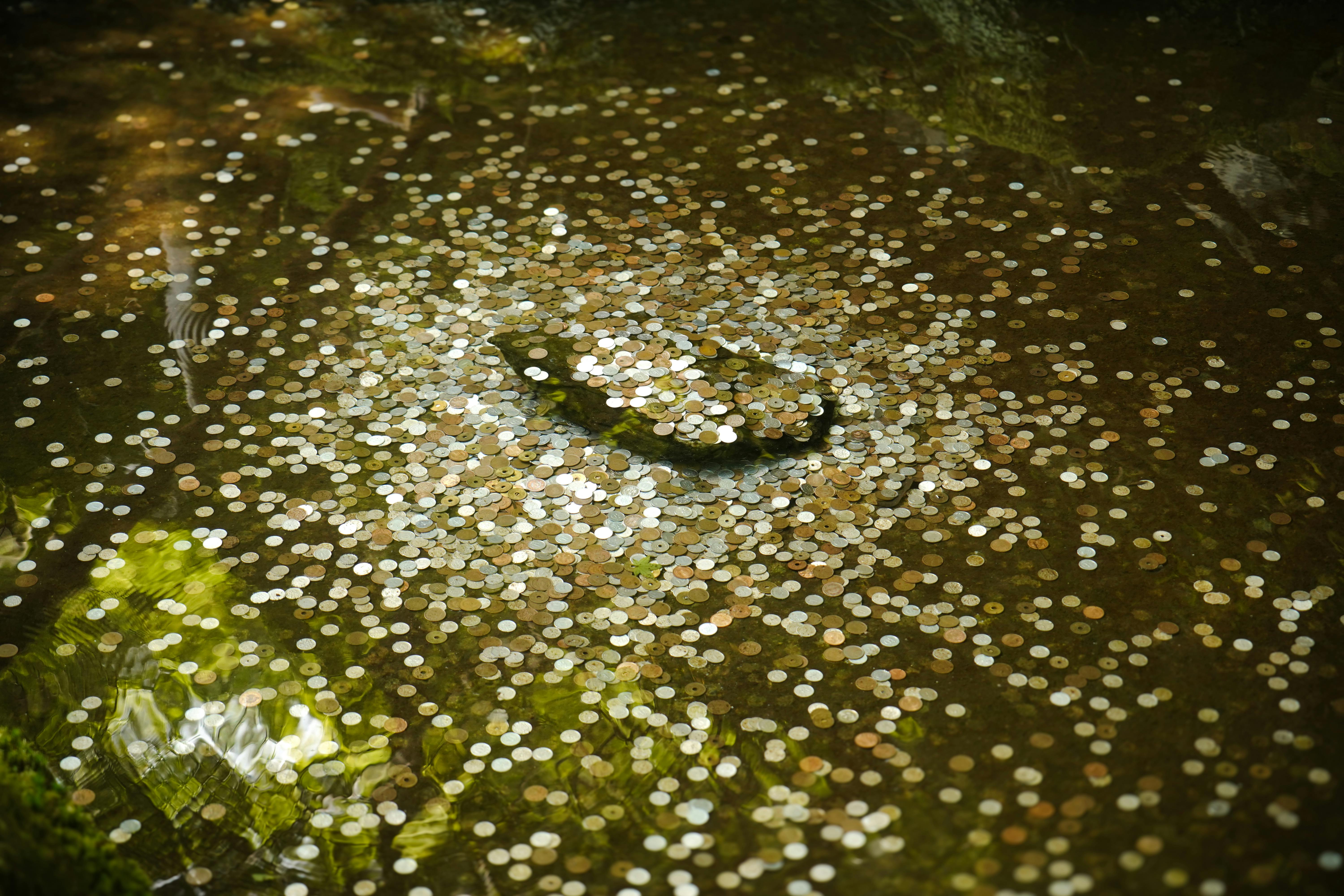 Coins on Water · Free Stock Photo
