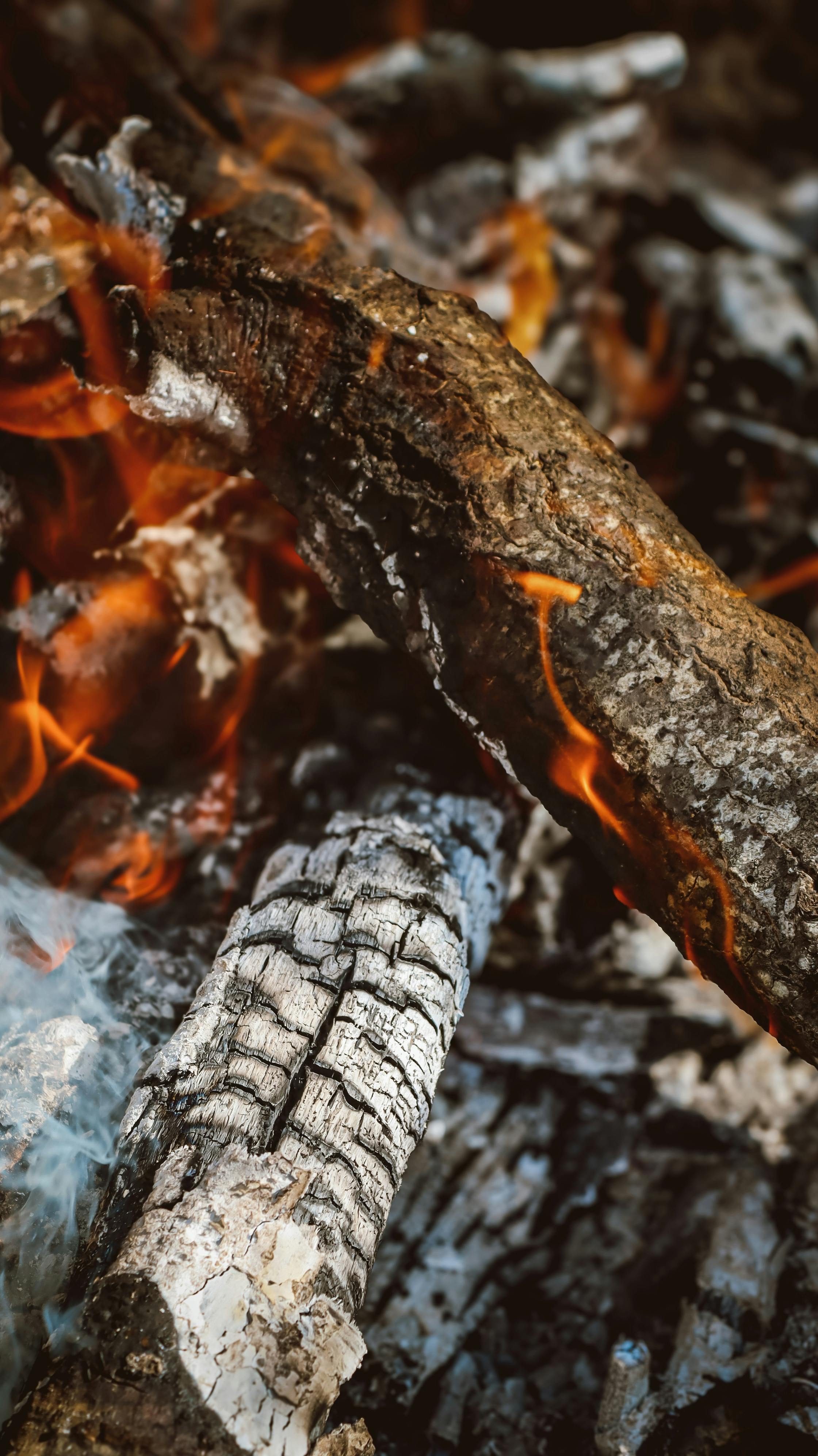 Wood on Fire · Free Stock Photo