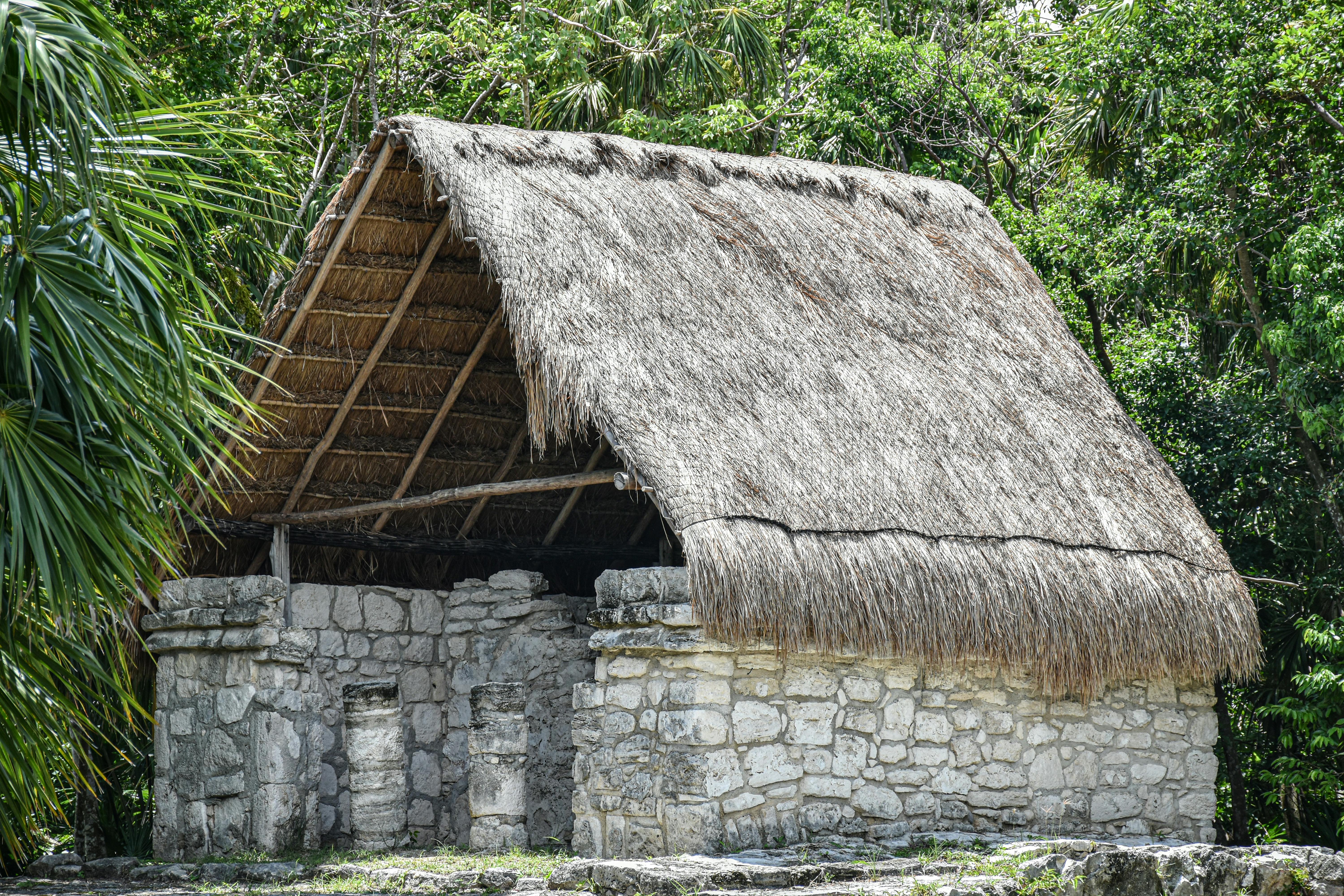 Barn in a Tropical Forest · Free Stock Photo