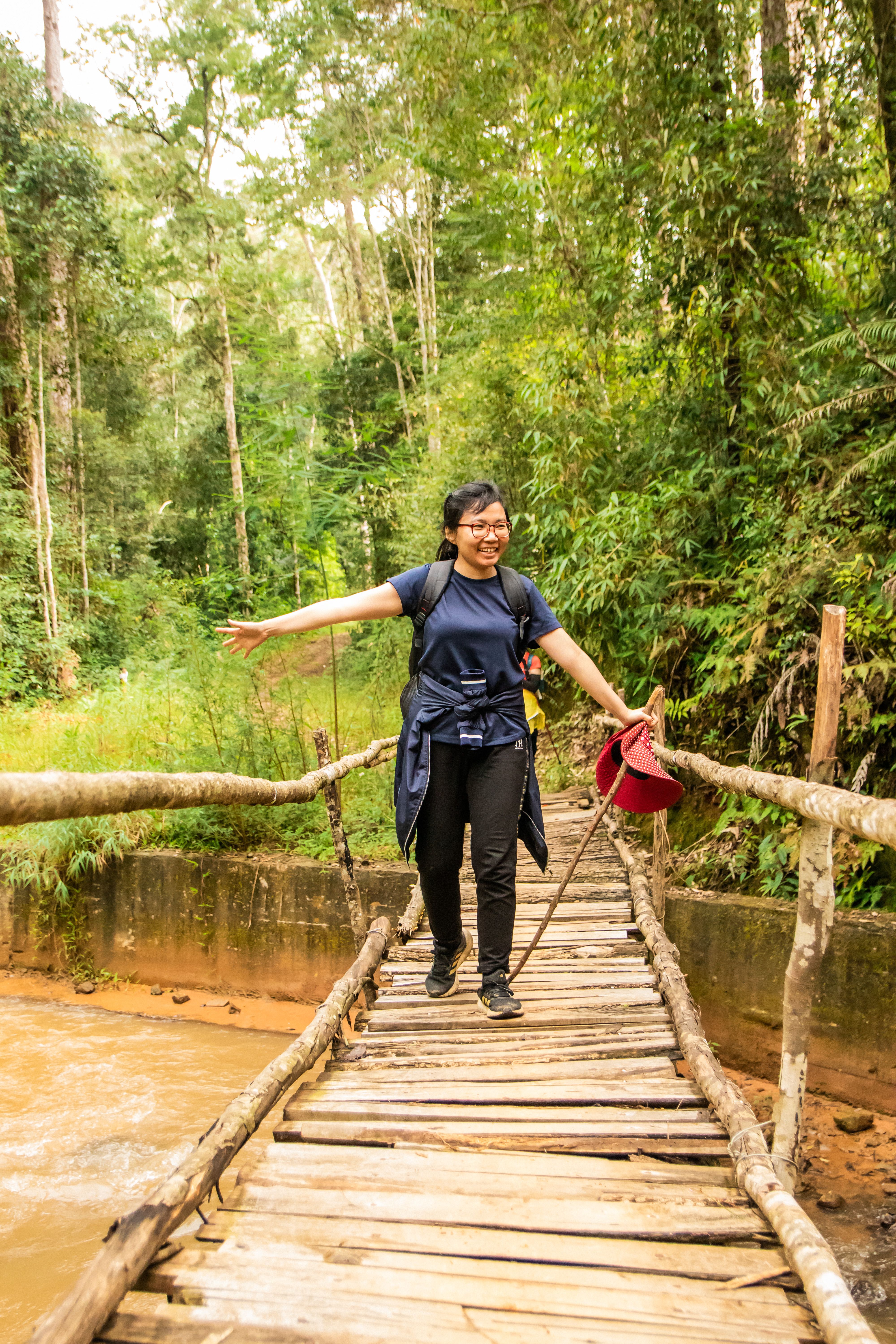 Vietnamese Forests Photos, Download The BEST Free Vietnamese Forests ...