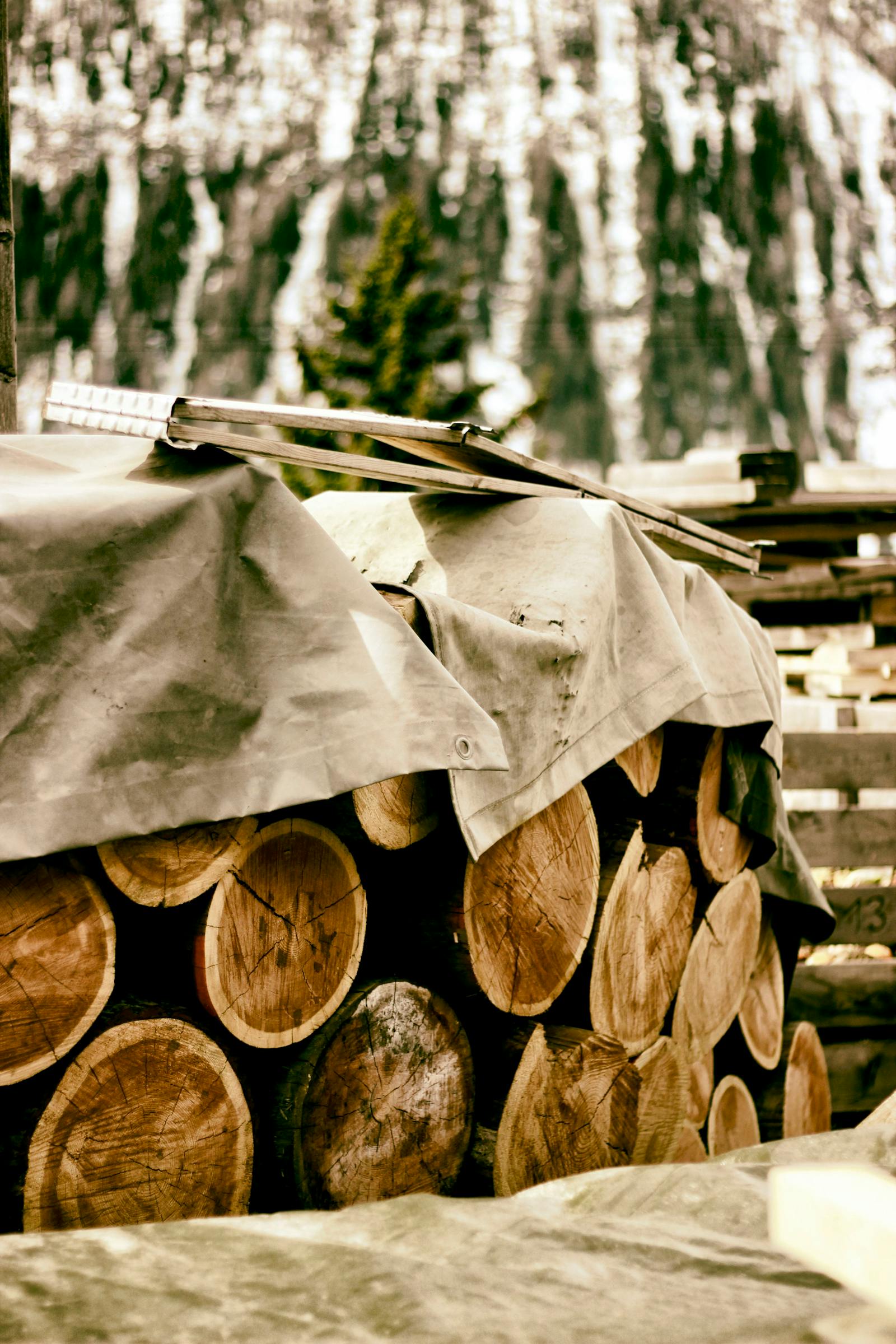 Tarp Background Photos, Download The BEST Free Tarp Background Stock ...