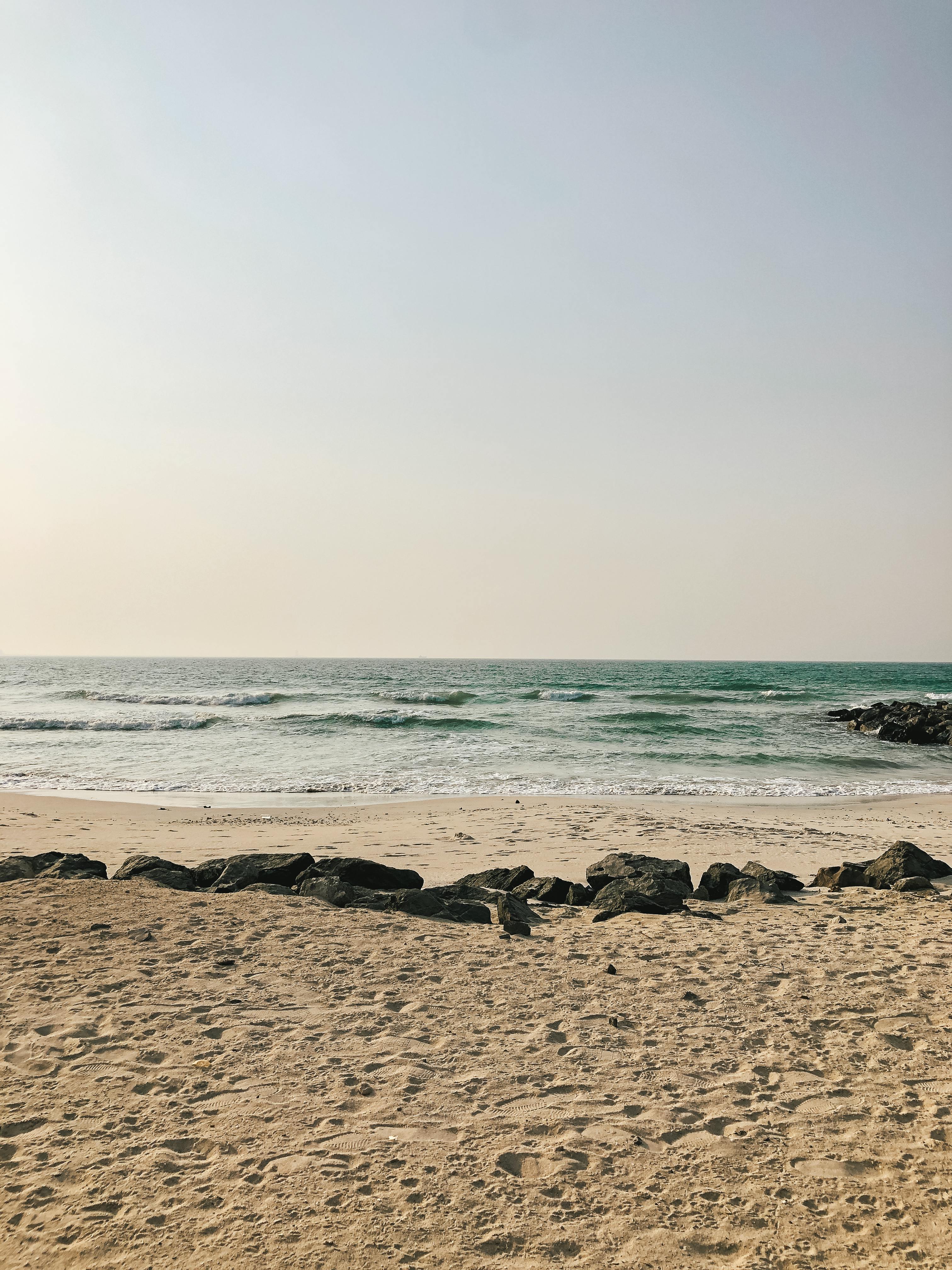 Stones in the Beach Sand · Free Stock Photo