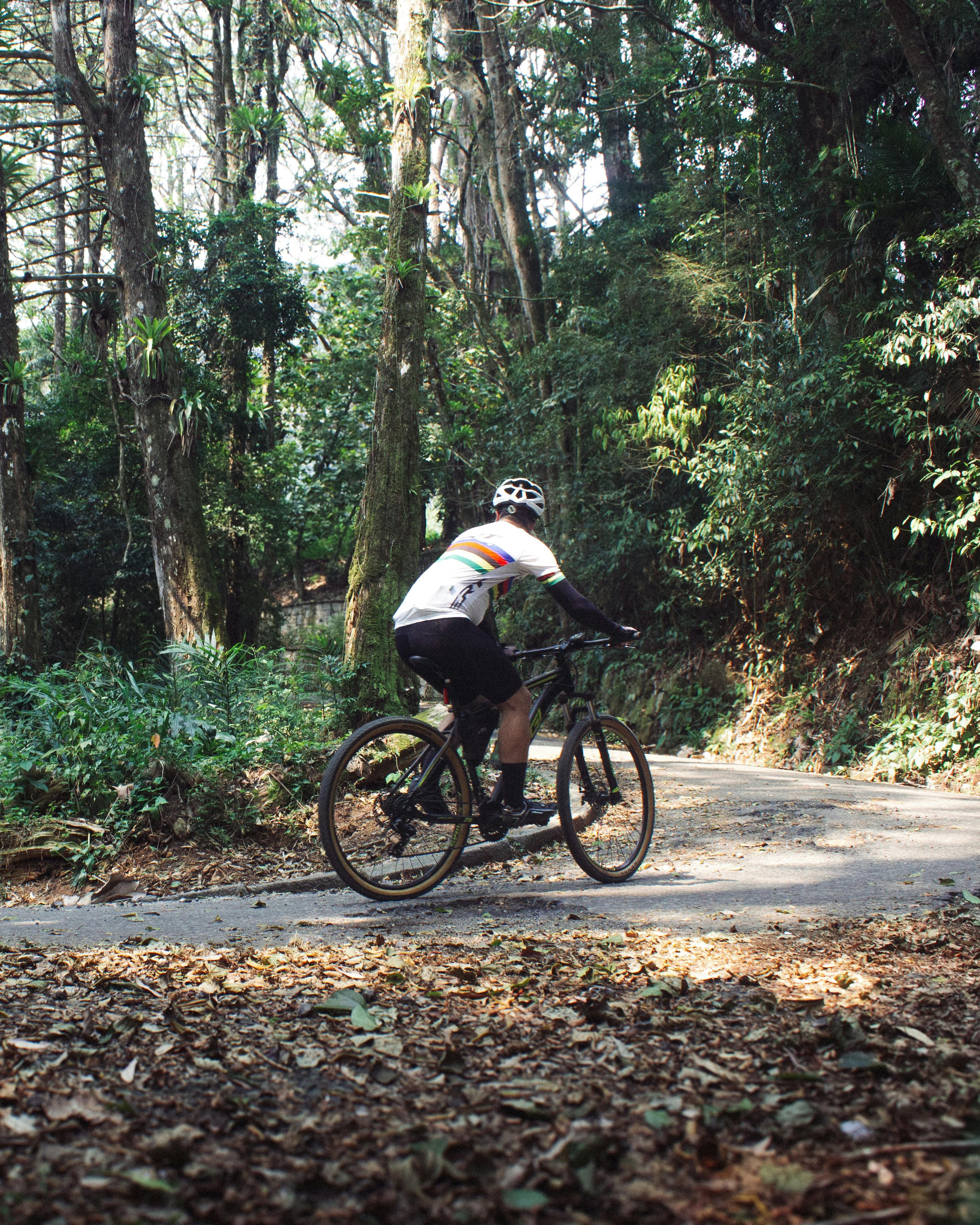 Cyclist Taking Corner in Forest · Free Stock Photo