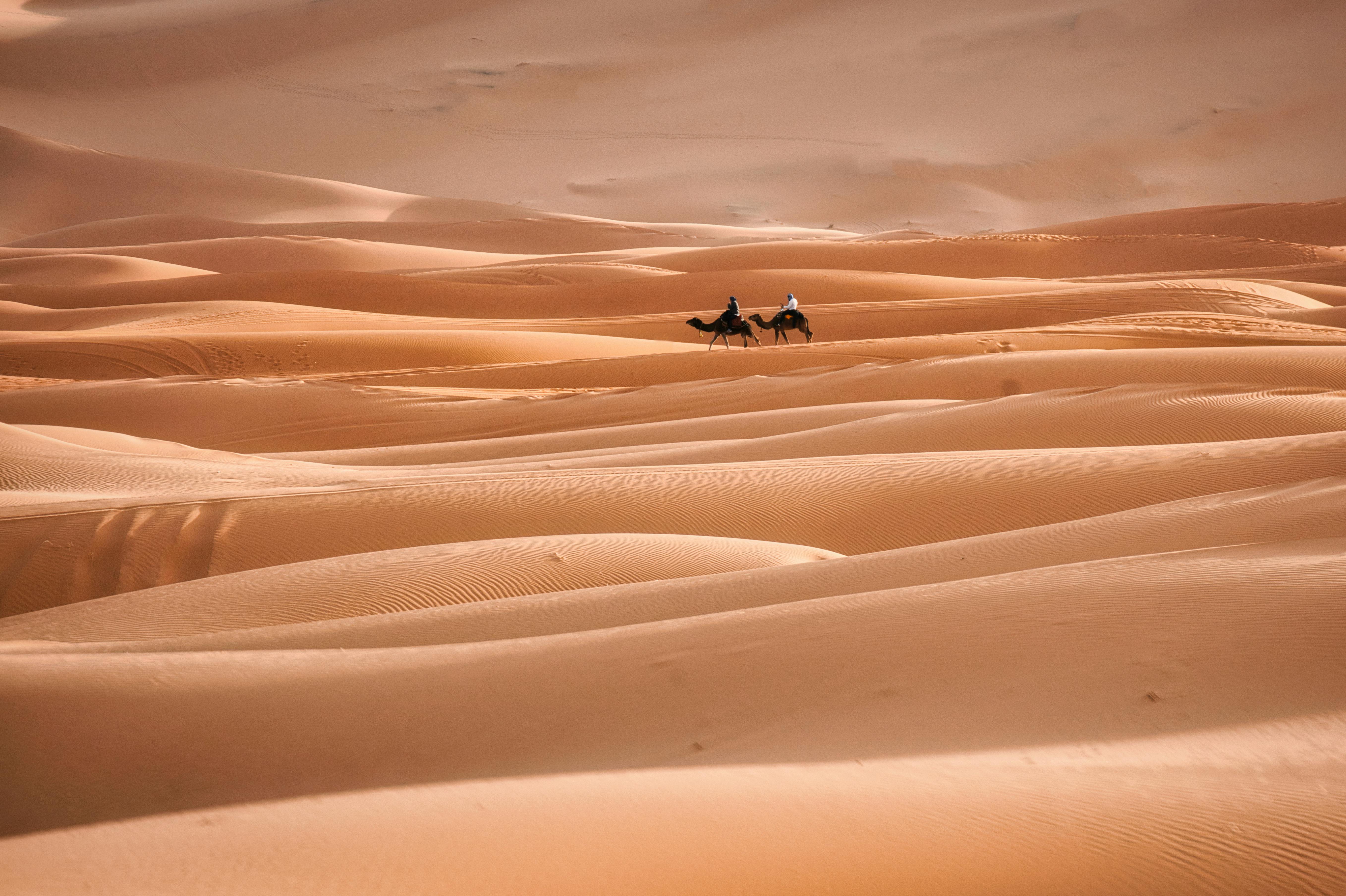 Au Milieu Du Désert Du Sahara · Photo gratuite