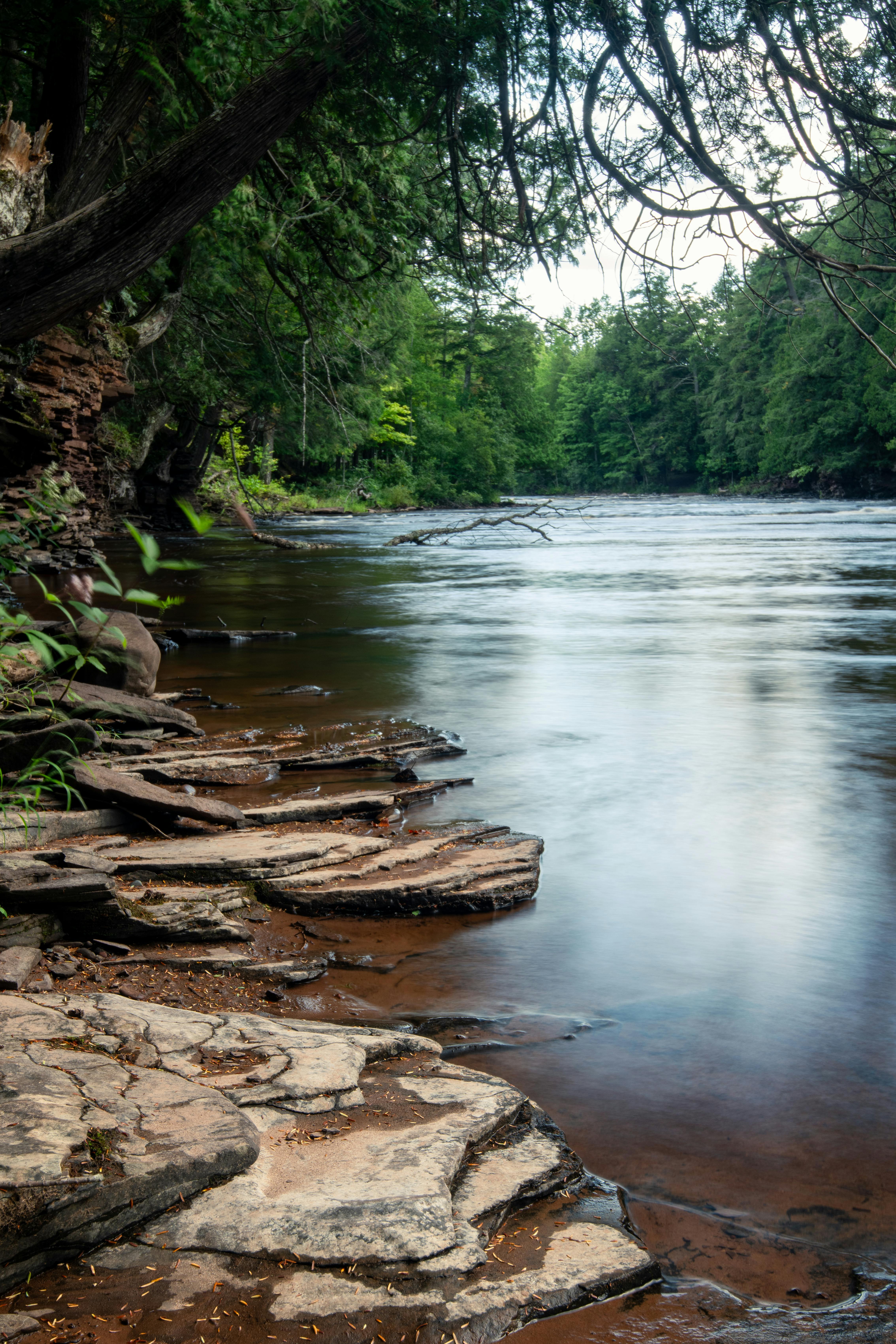 A river with rocks and trees in the background · Free Stock Photo