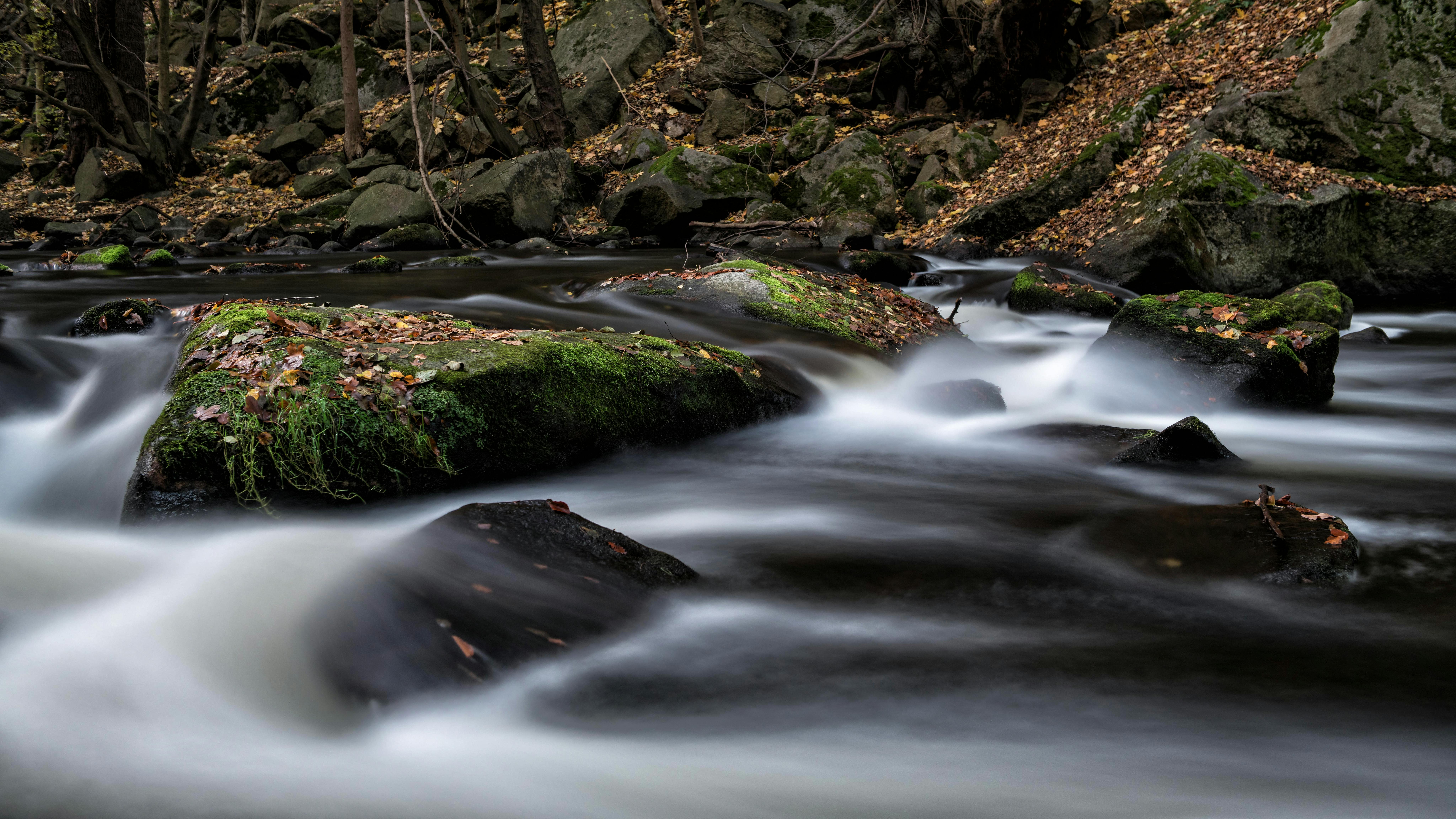 Rocks in a Stream · Free Stock Photo