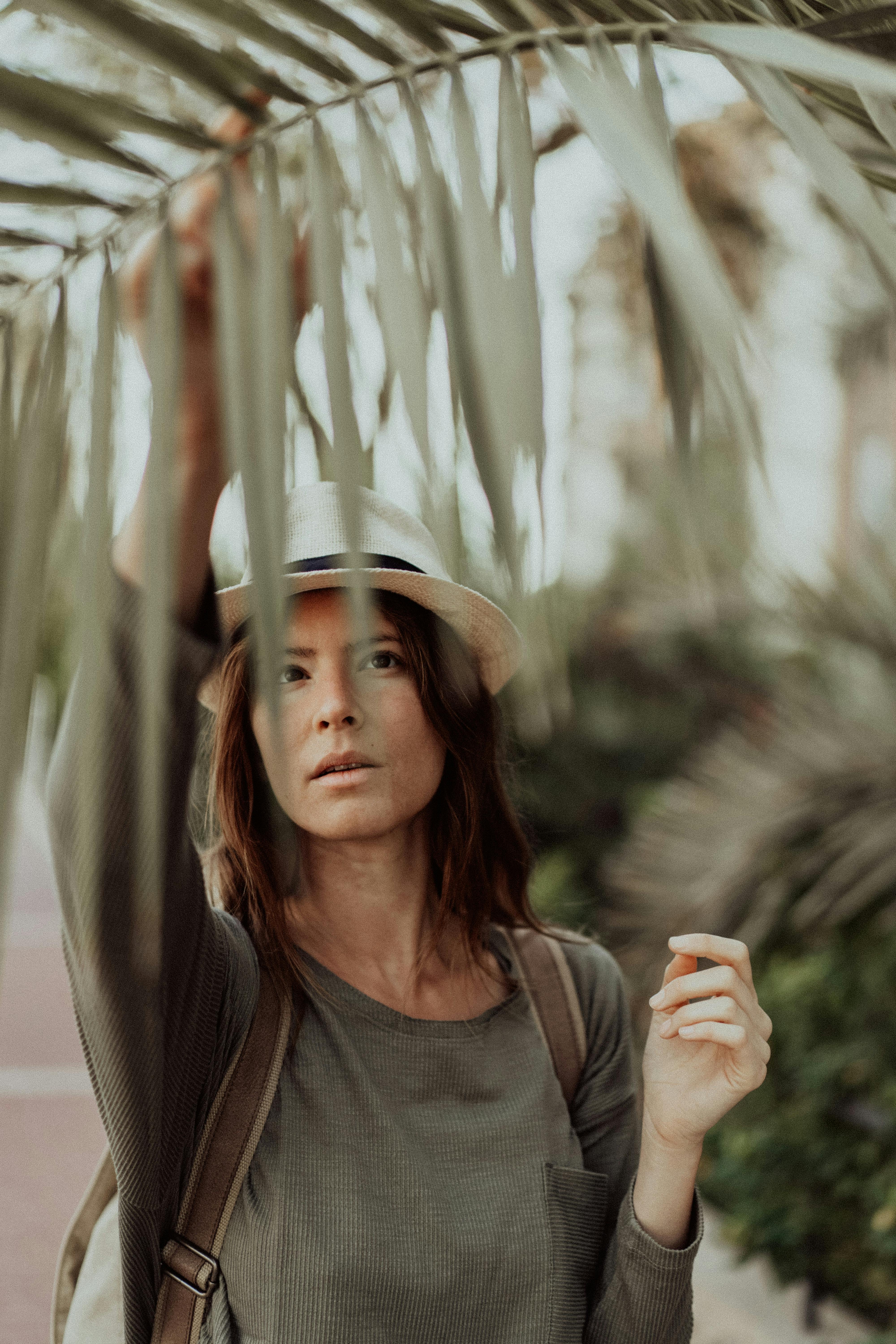 Palm Portrait · Free Stock Photo