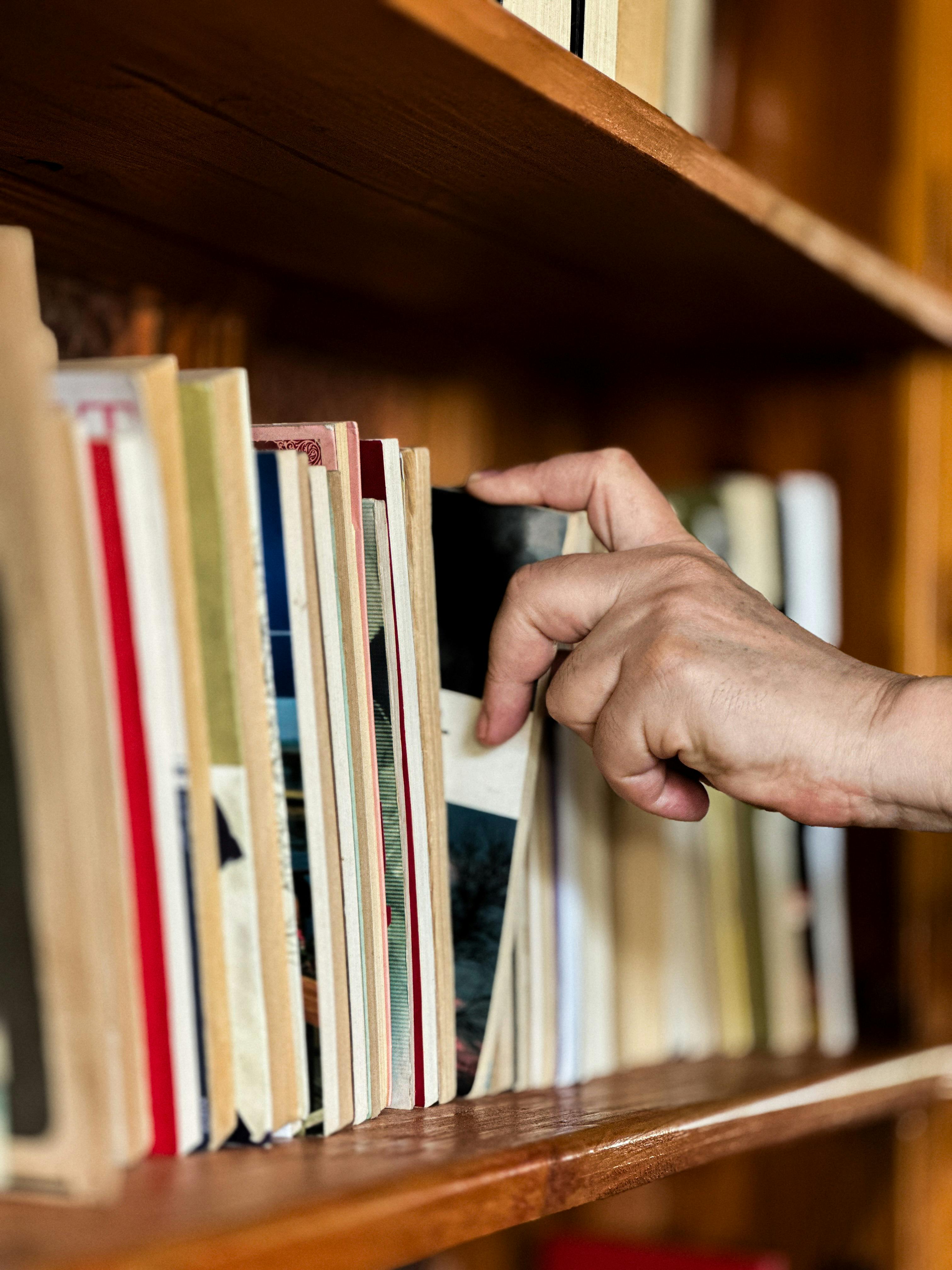 Library/Books · Free Stock Photo