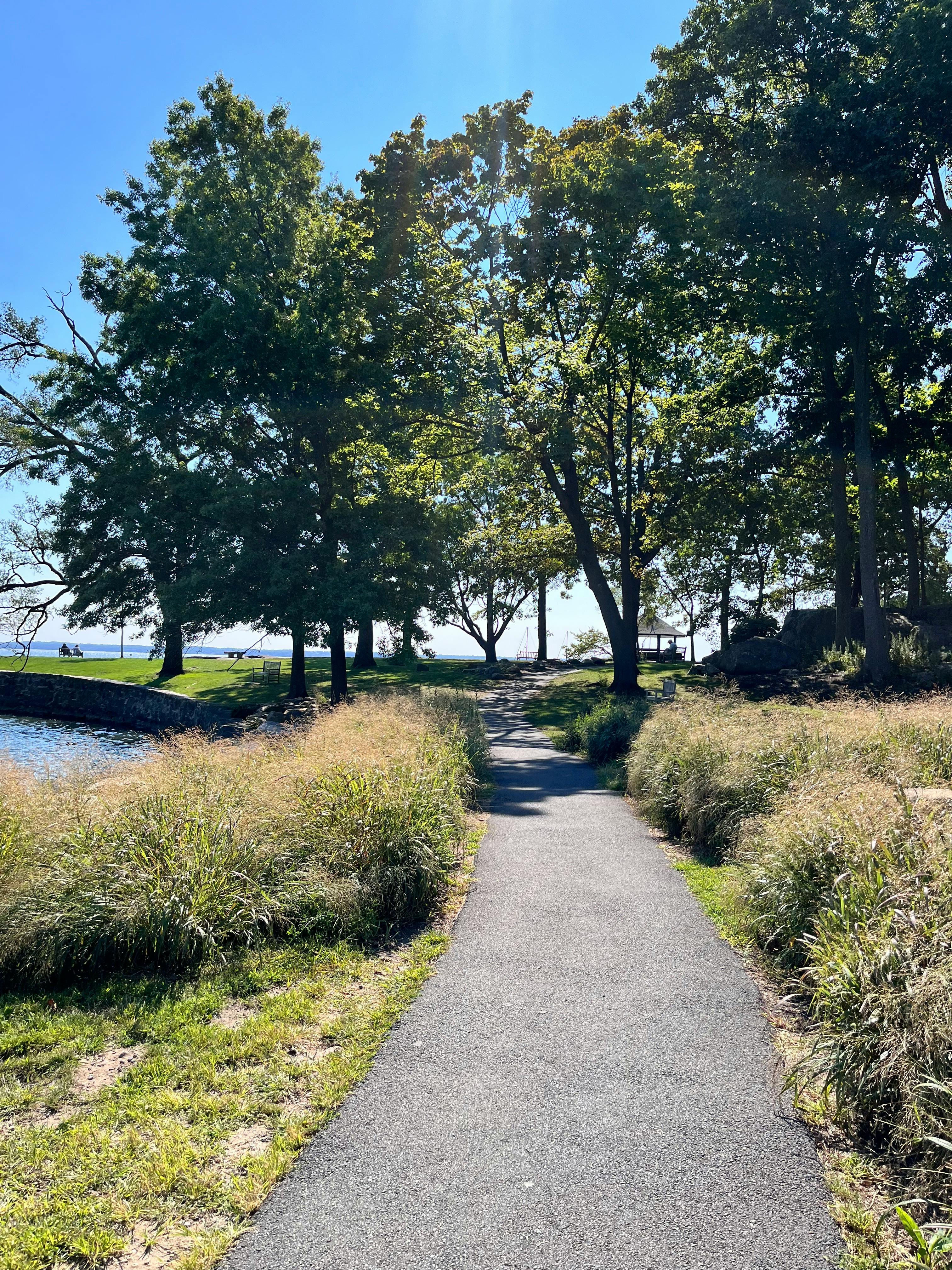 Footpath in Park by Sea · Free Stock Photo