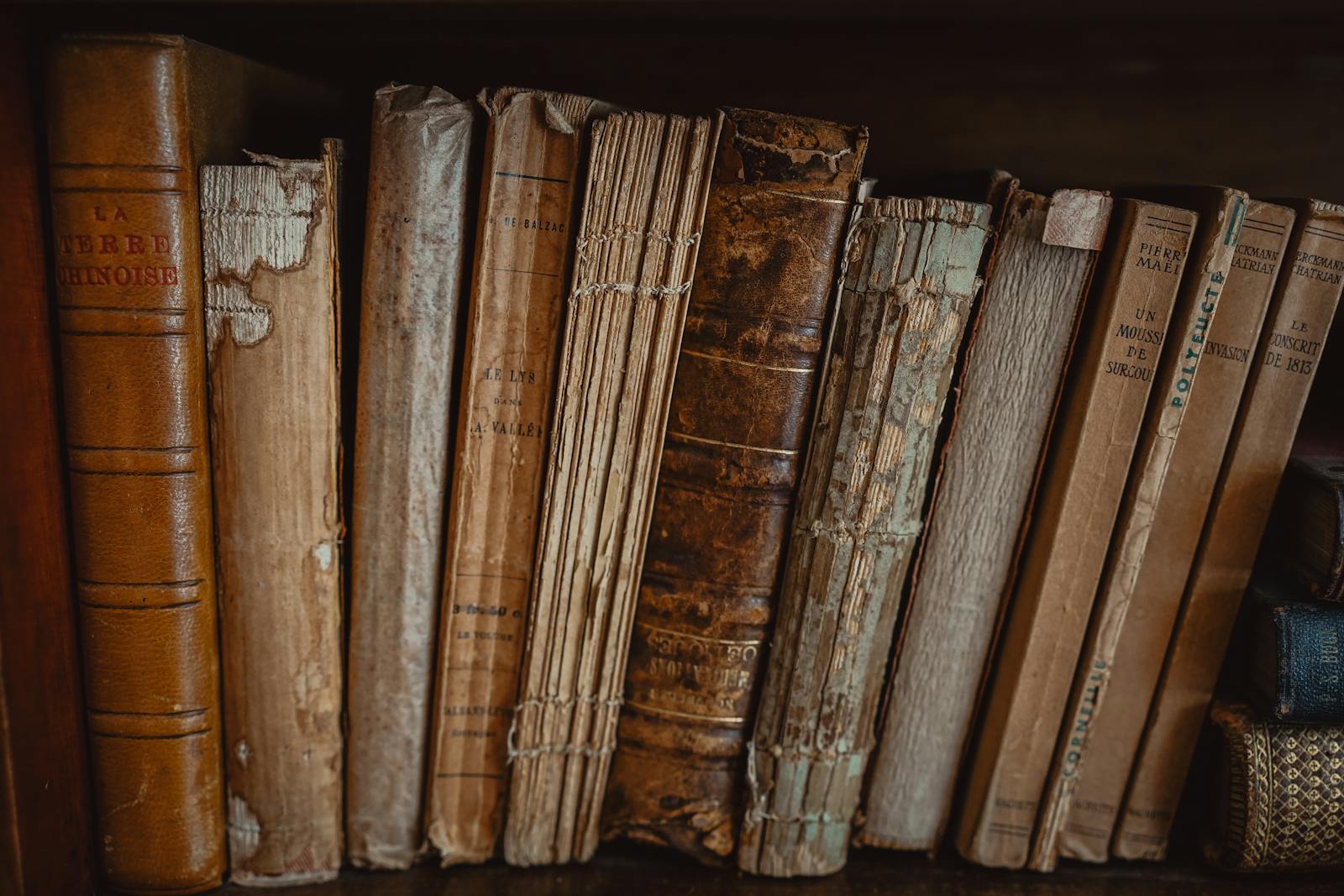 Books Reading Photos, Download The BEST Free Books Reading Stock Photos ...