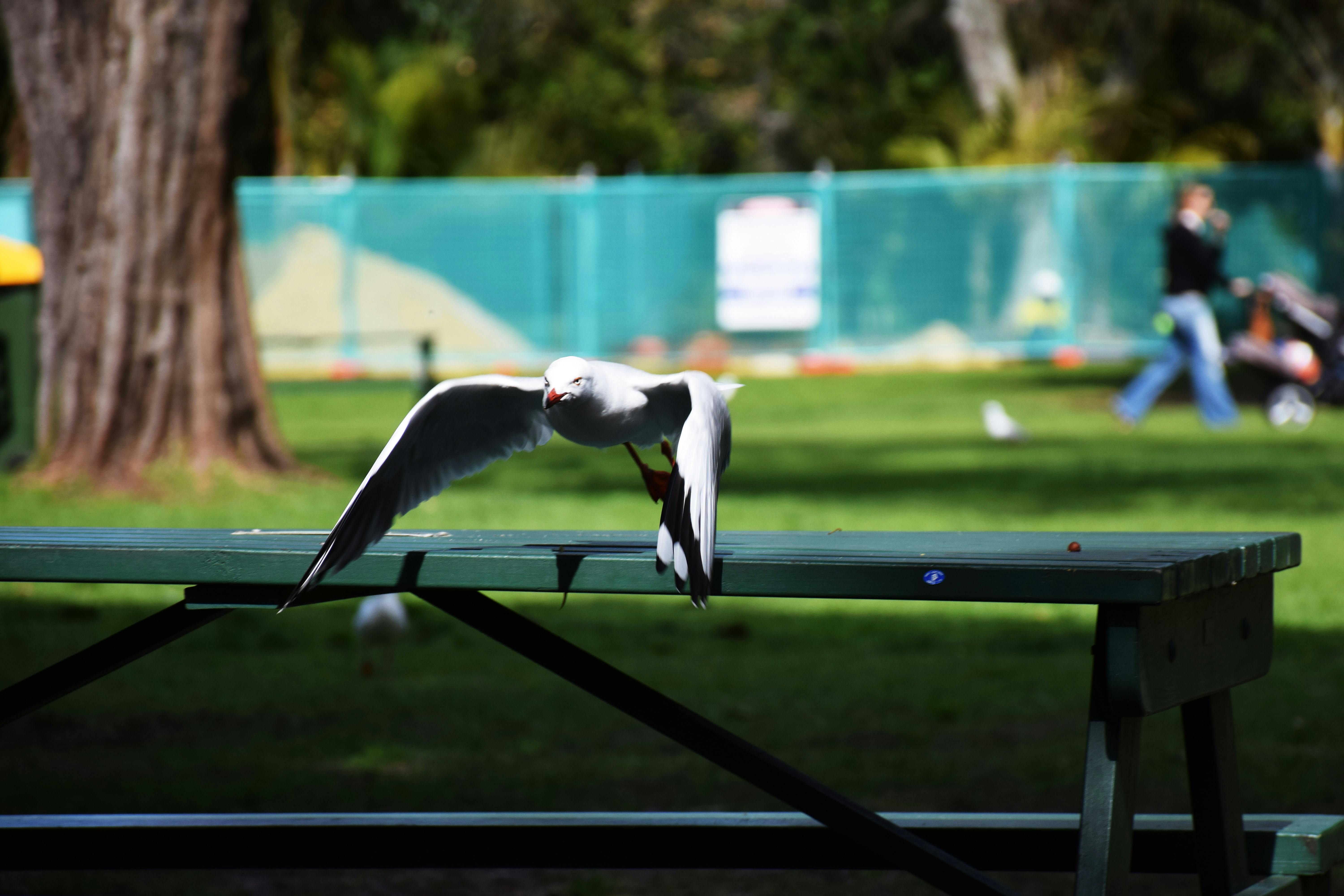 Jordan Tan - Photography