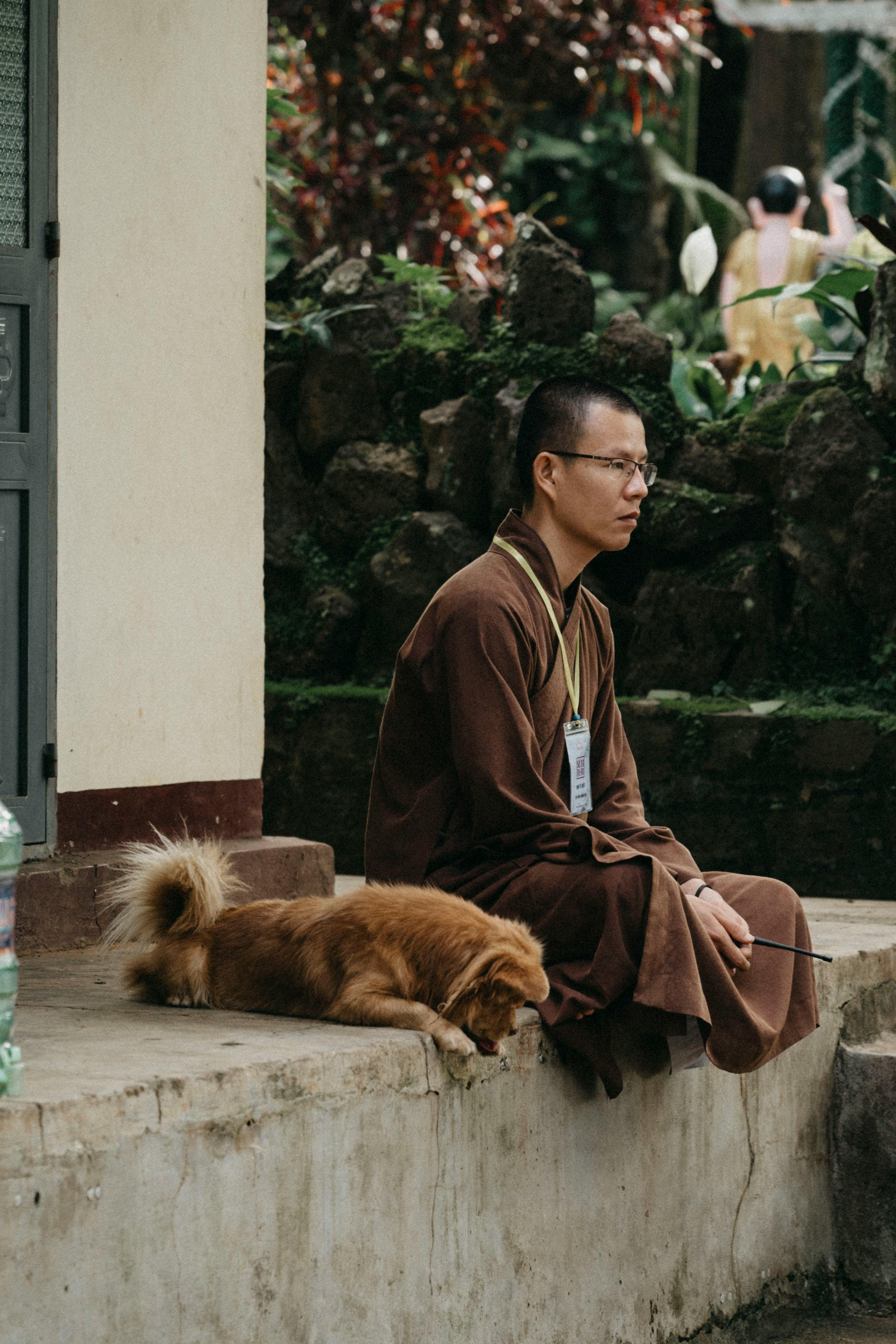 Dog Monk Photos, Download The BEST Free Dog Monk Stock Photos & HD Images
