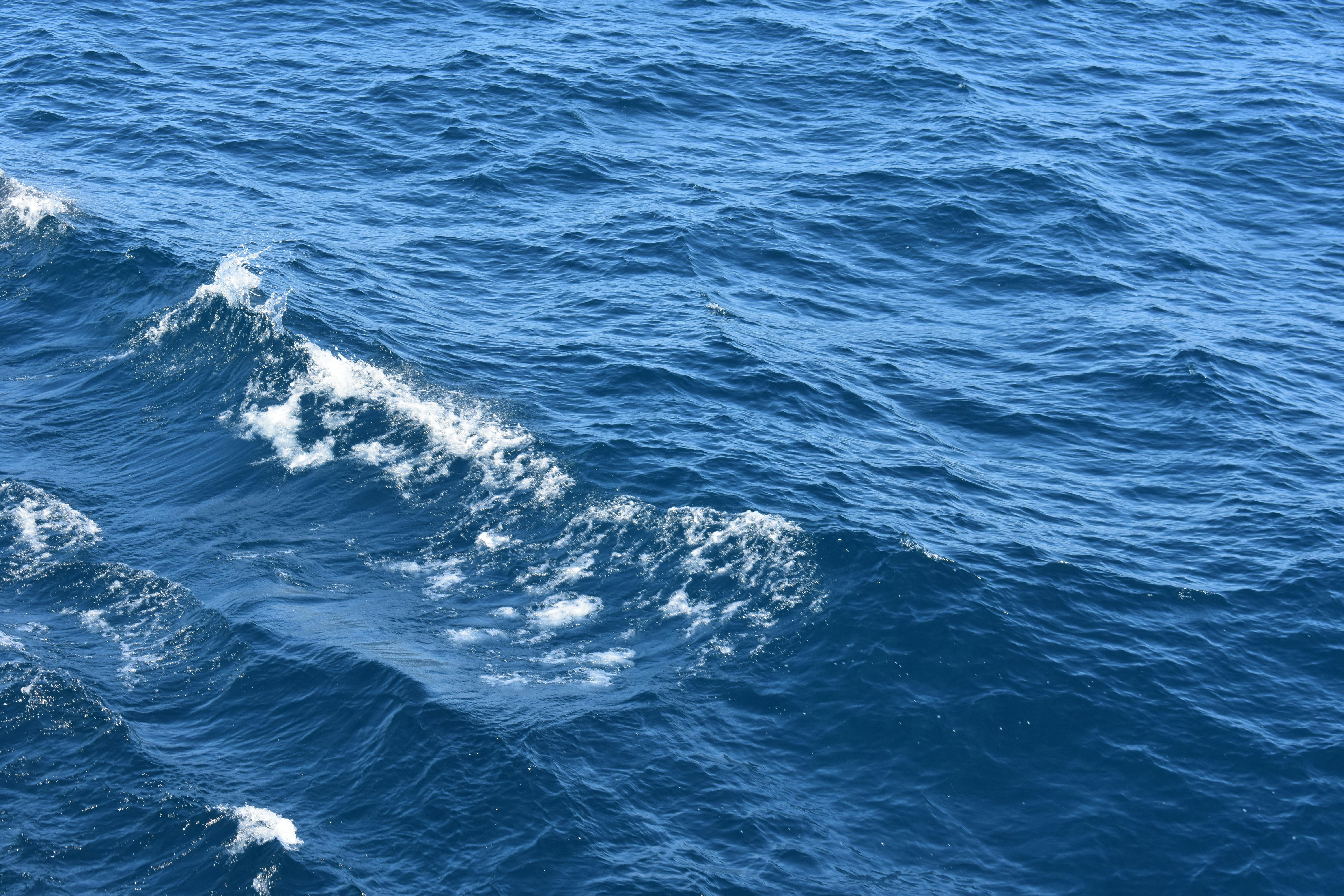 Sea Water Forming Seafoams · Free Stock Photo