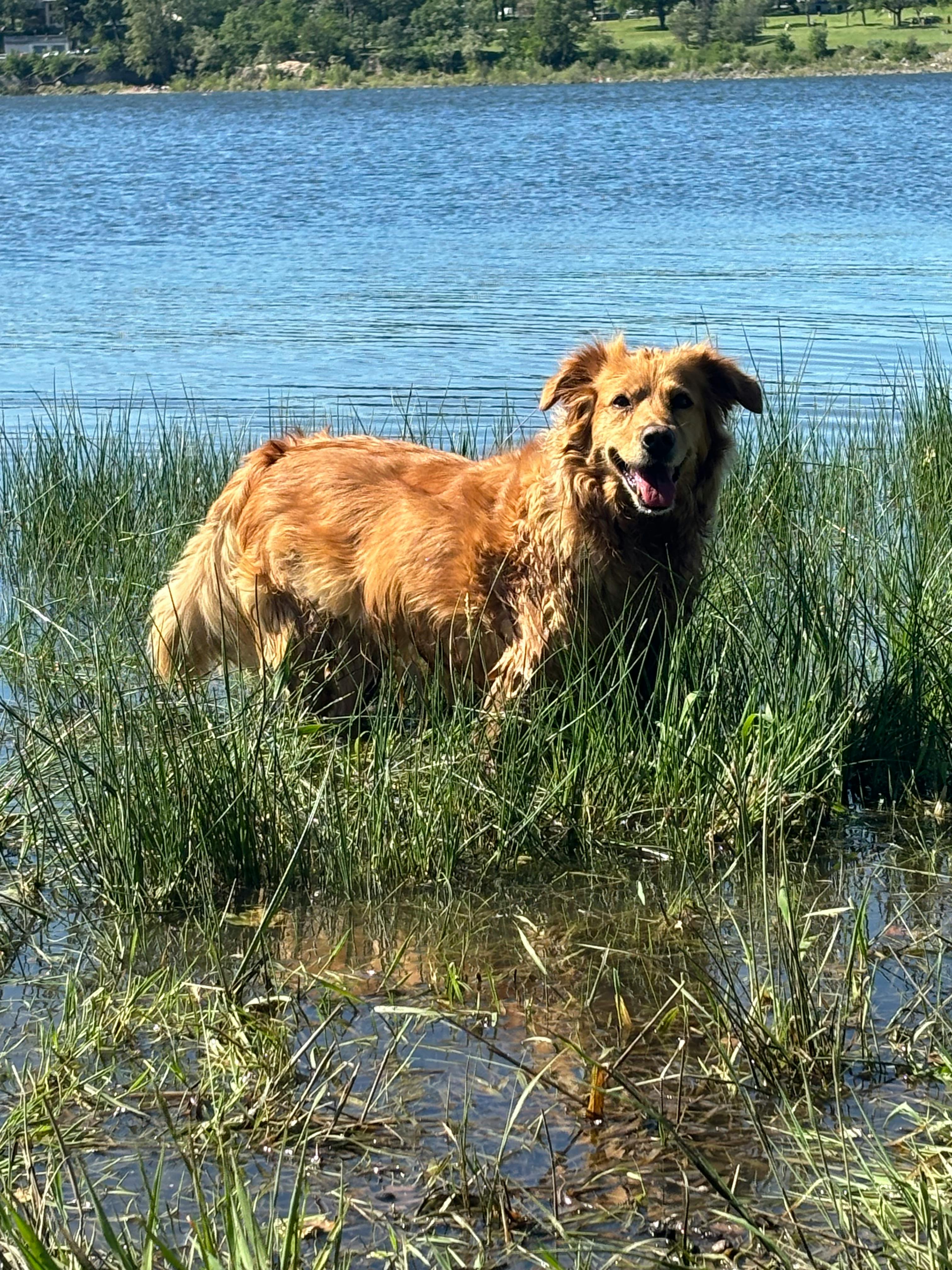 Lac st fé · Free Stock Photo