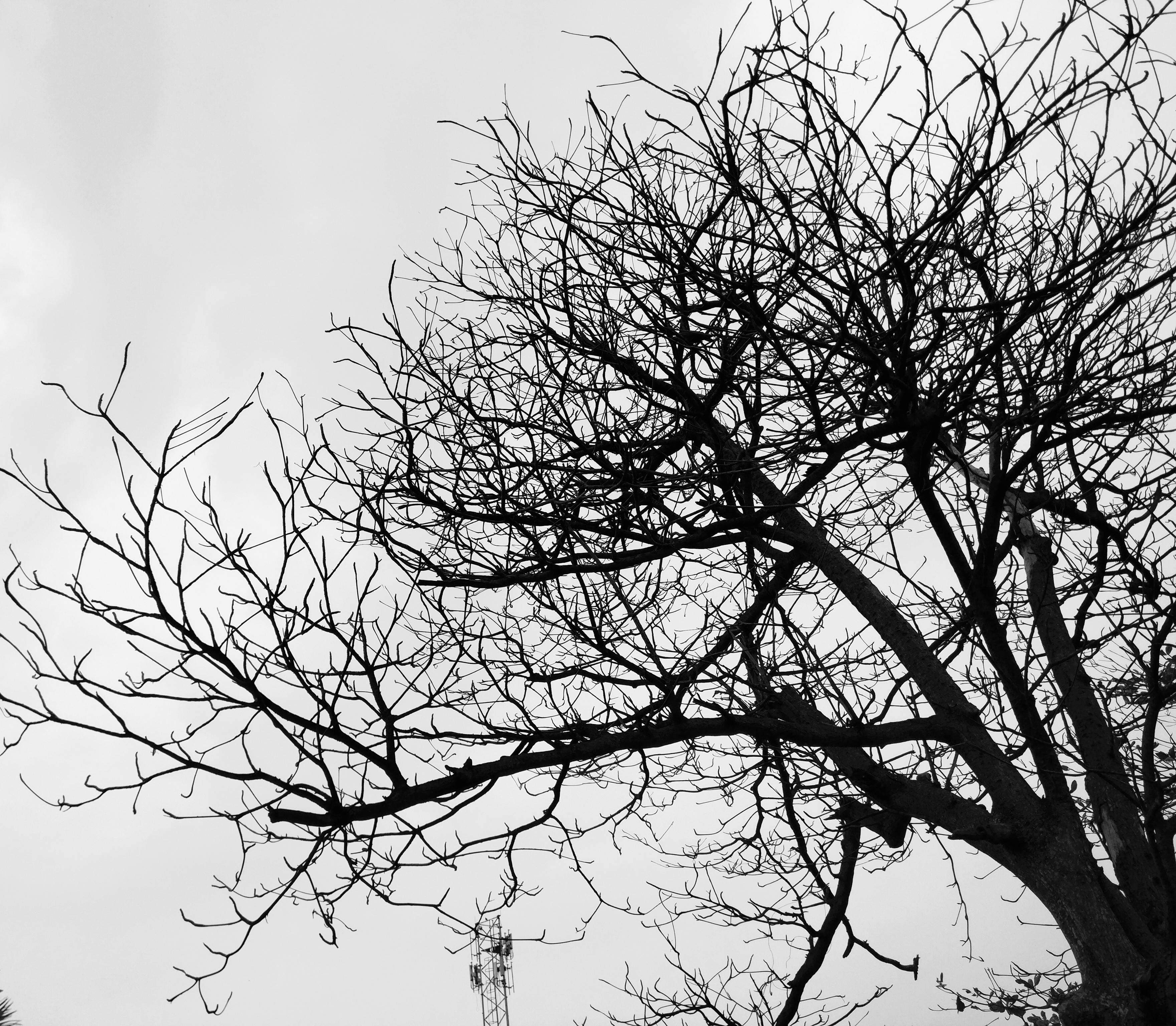 Free stock photo of life, love, quotes