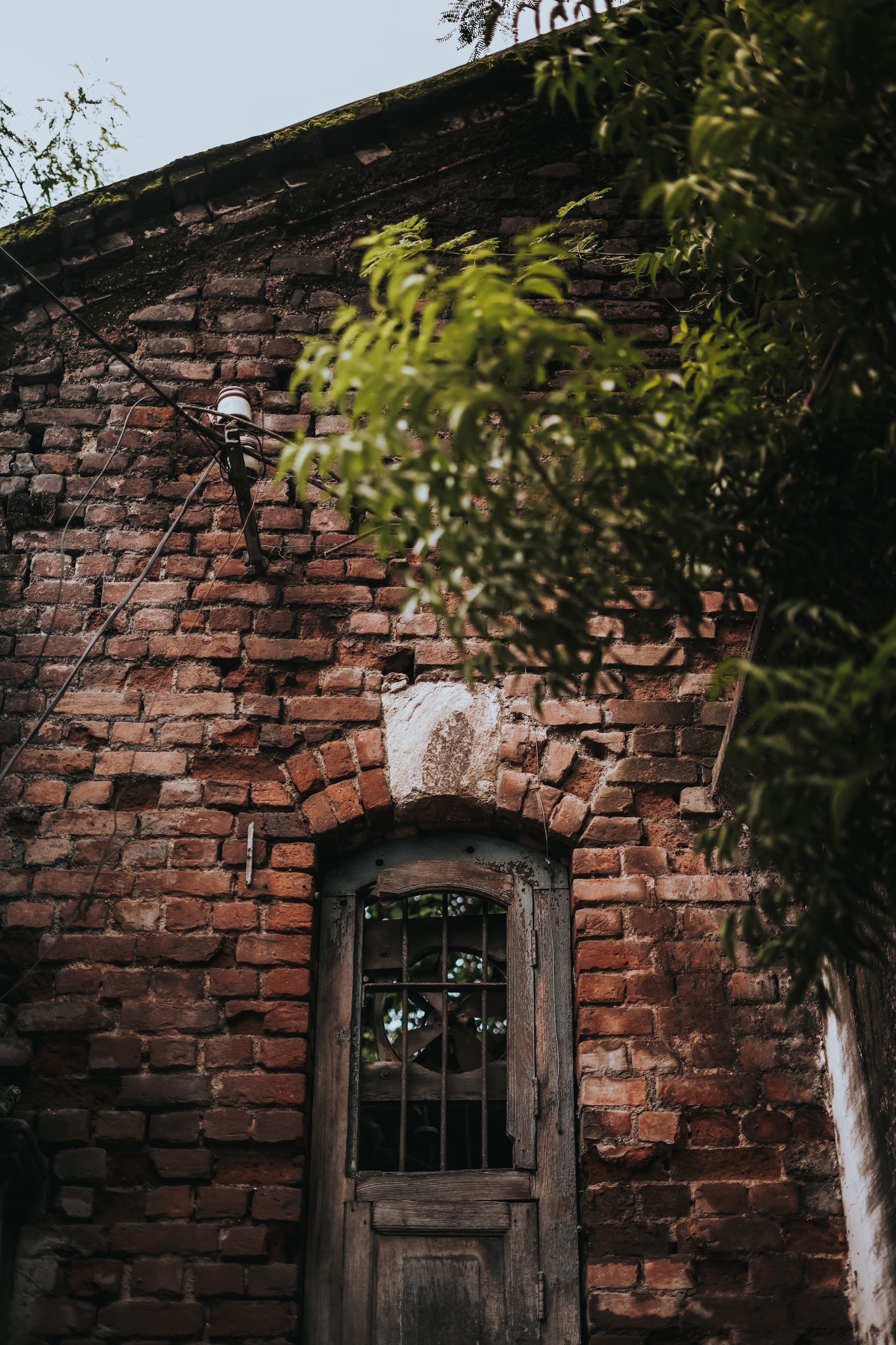 Rustic Brick Wall with Wooden Door in Nagpur · Free Stock Photo