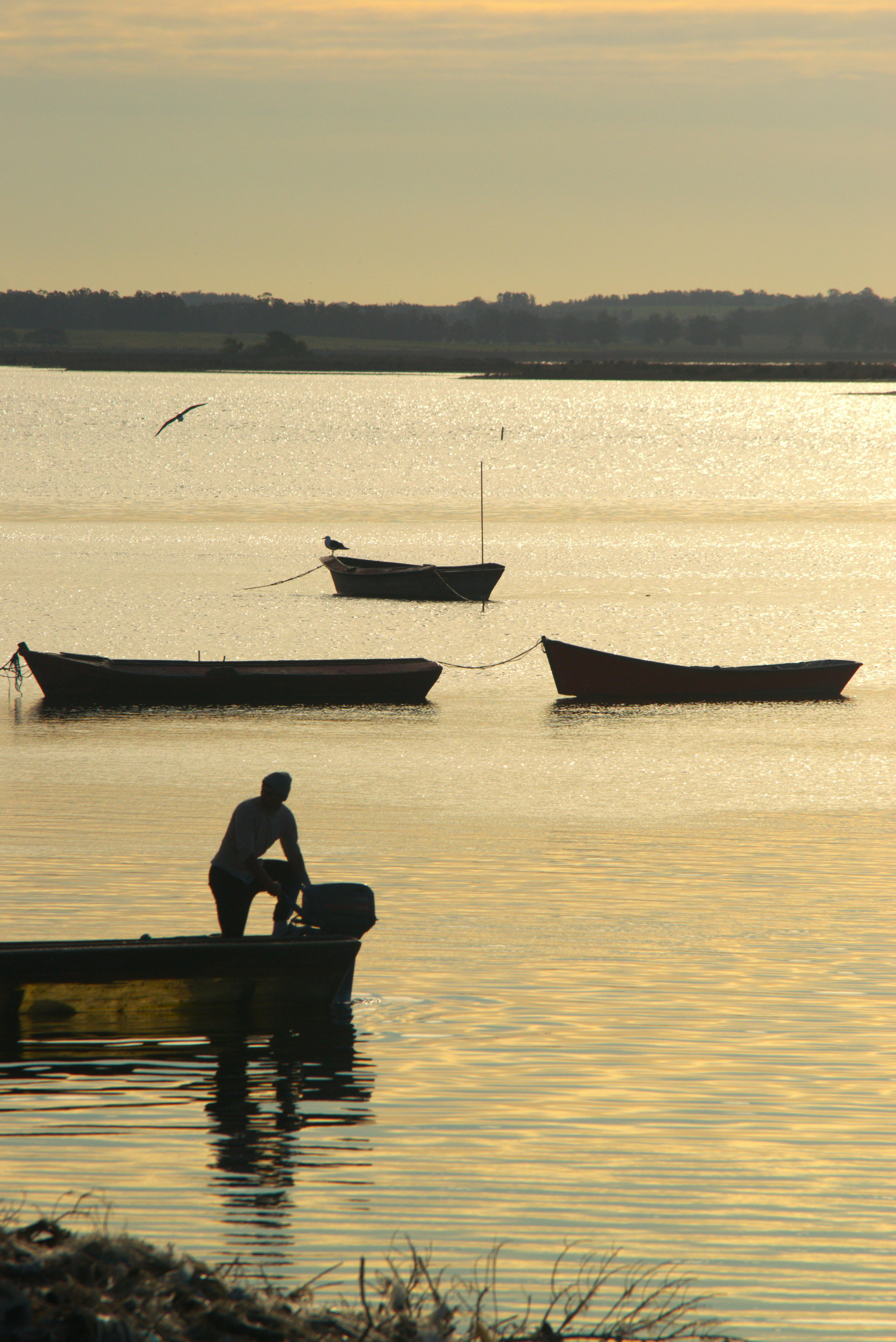 Pescador y 4 botes en el rio al atardecer · Free Stock Photo