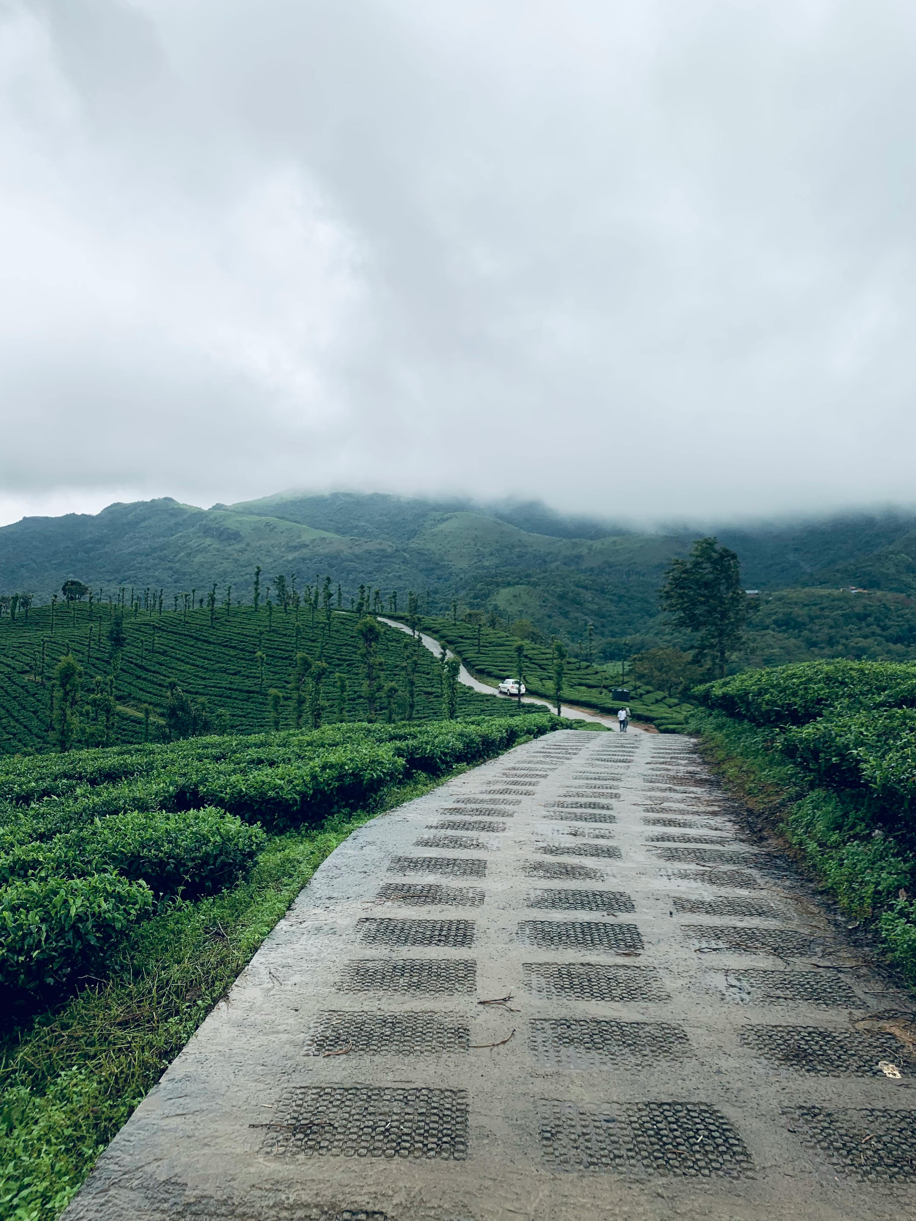 Koroth Photos, Download The BEST Free Koroth Stock Photos & HD Images