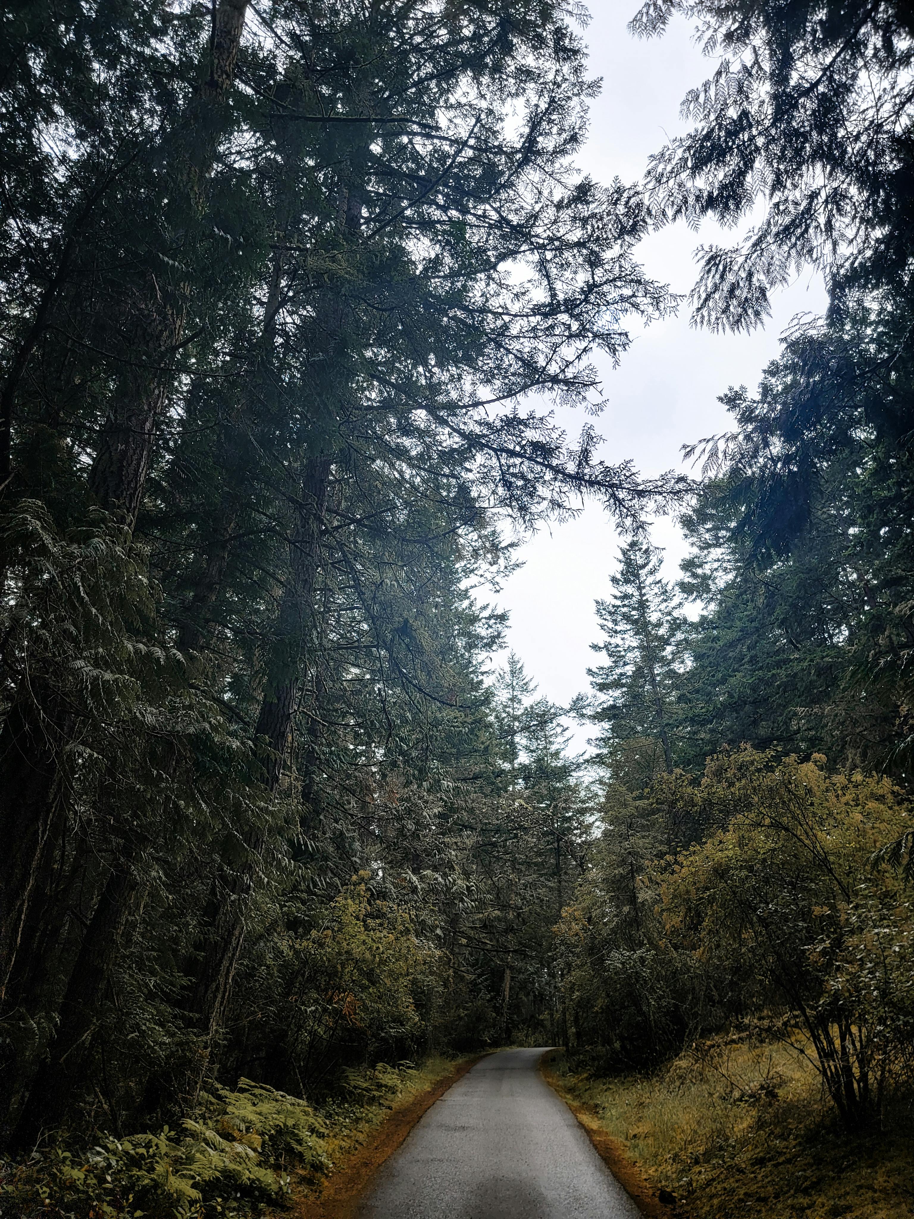 8 Packs Of Backwoods Photos, Download The BEST Free 8 Packs Of ...