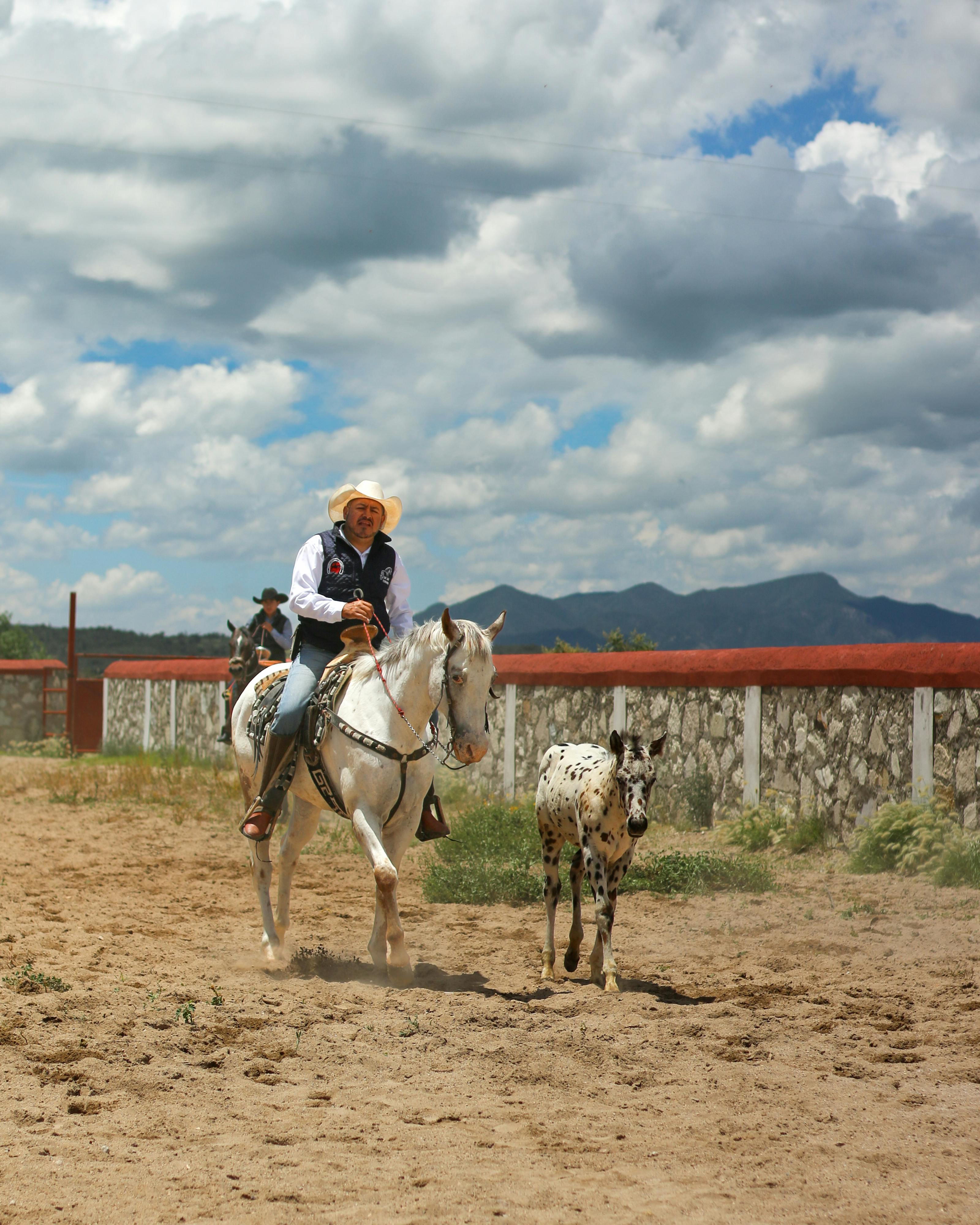 Man in Brown Cowboy Hat Riding A Horse · Free Stock Photo