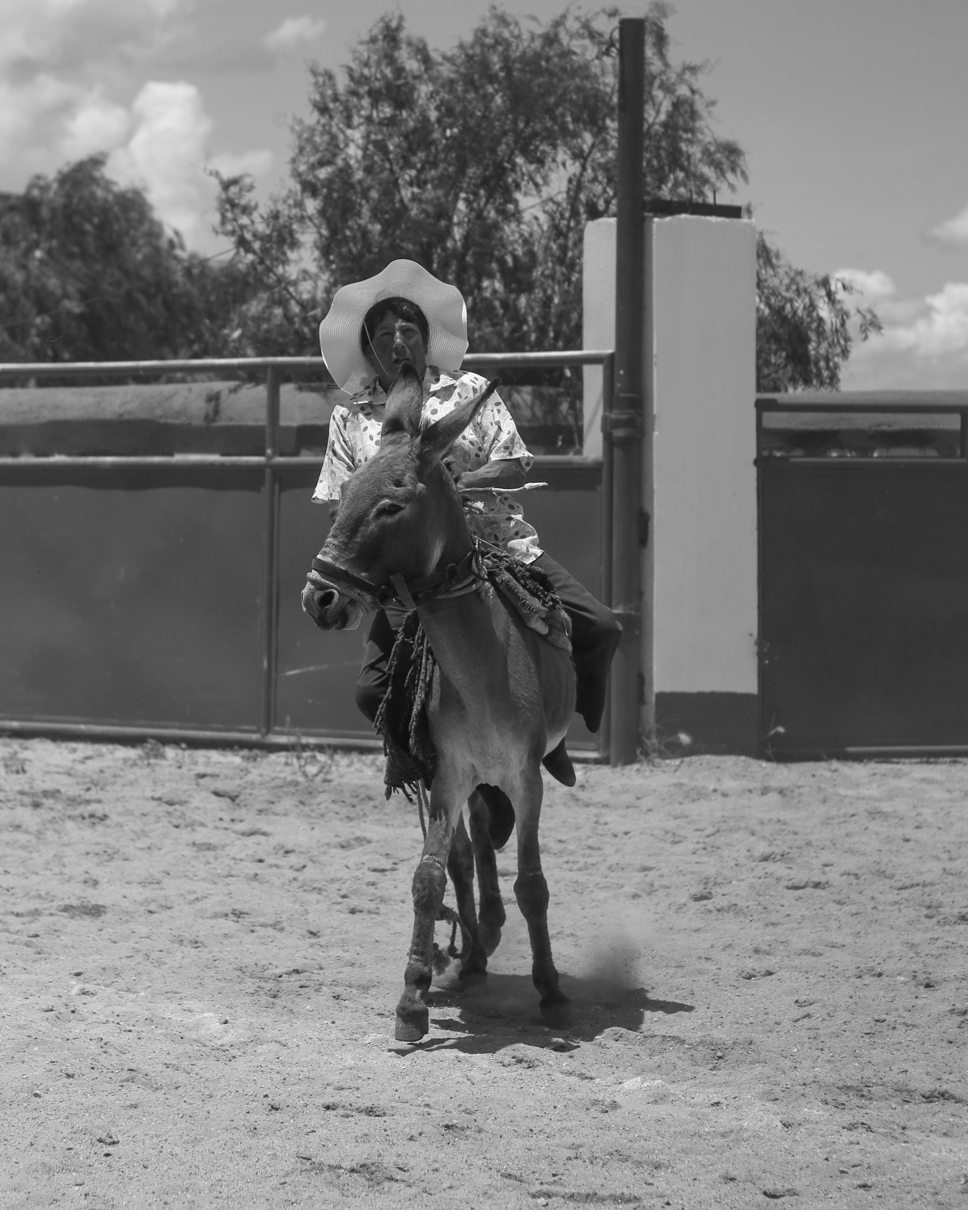 Black Man Riding Donkey Photos, Download The BEST Free Black Man Riding ...