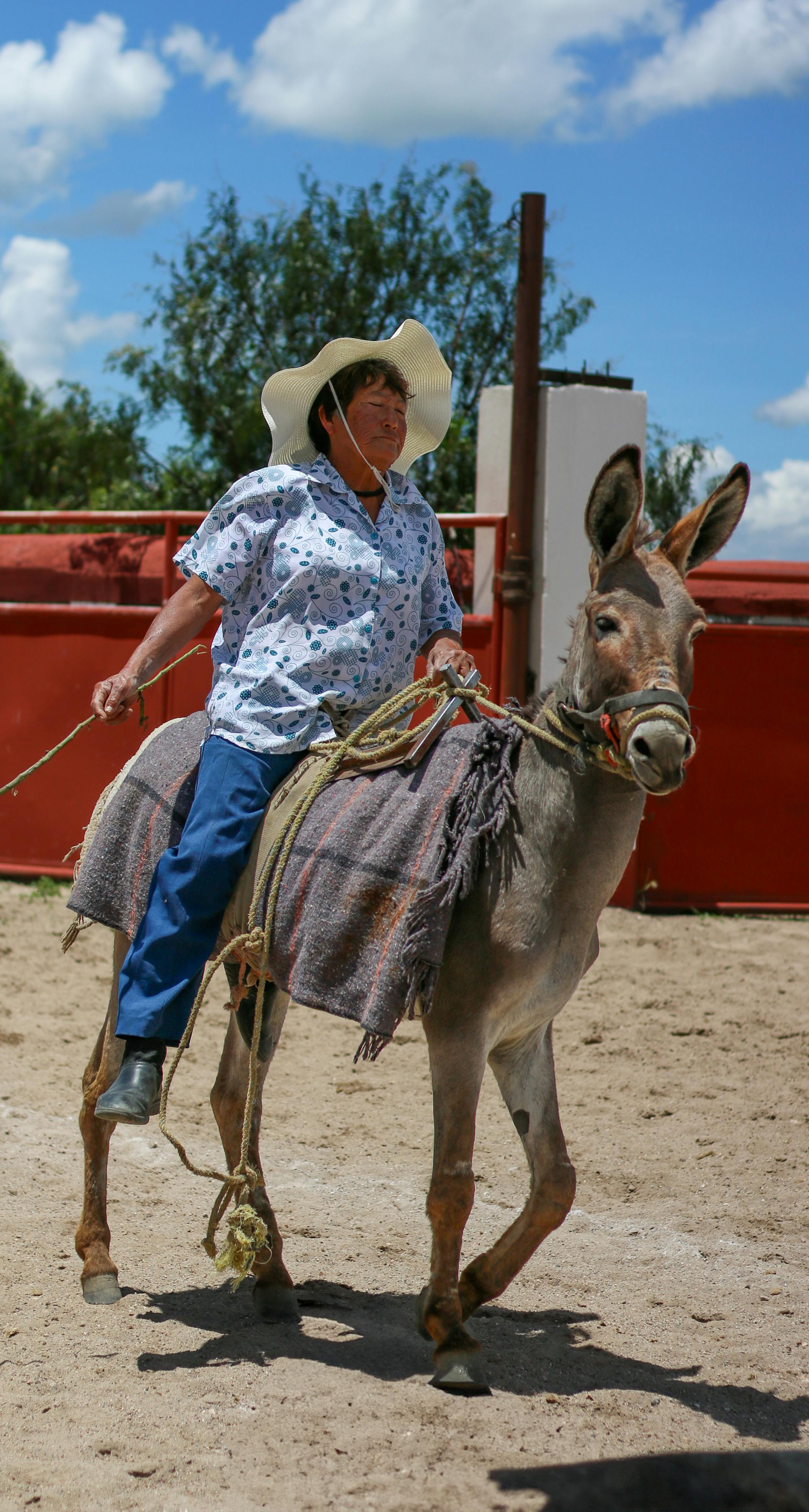 A woman riding a donkey in a rodeo · Free Stock Photo
