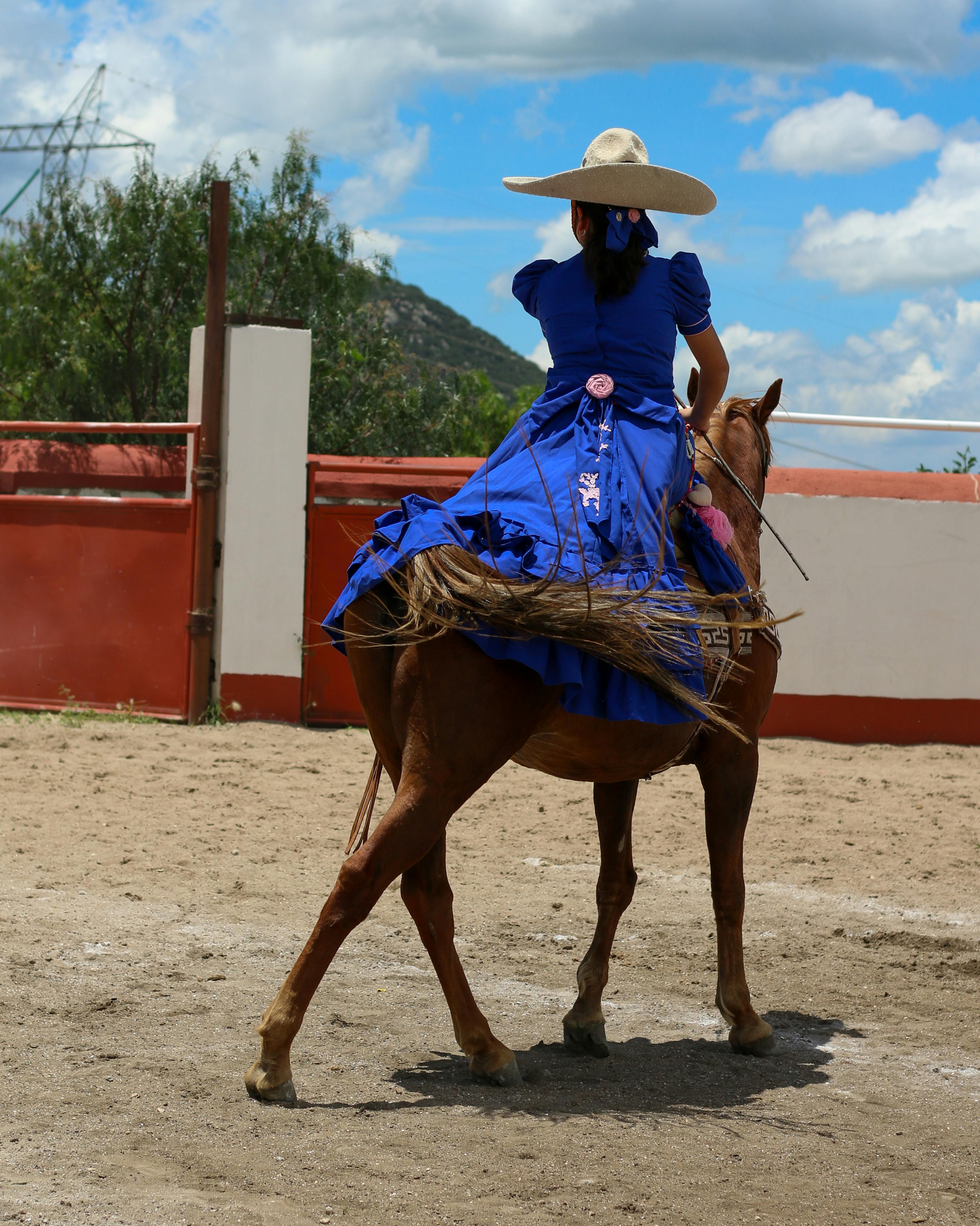 A woman in a blue dress riding a horse · Free Stock Photo