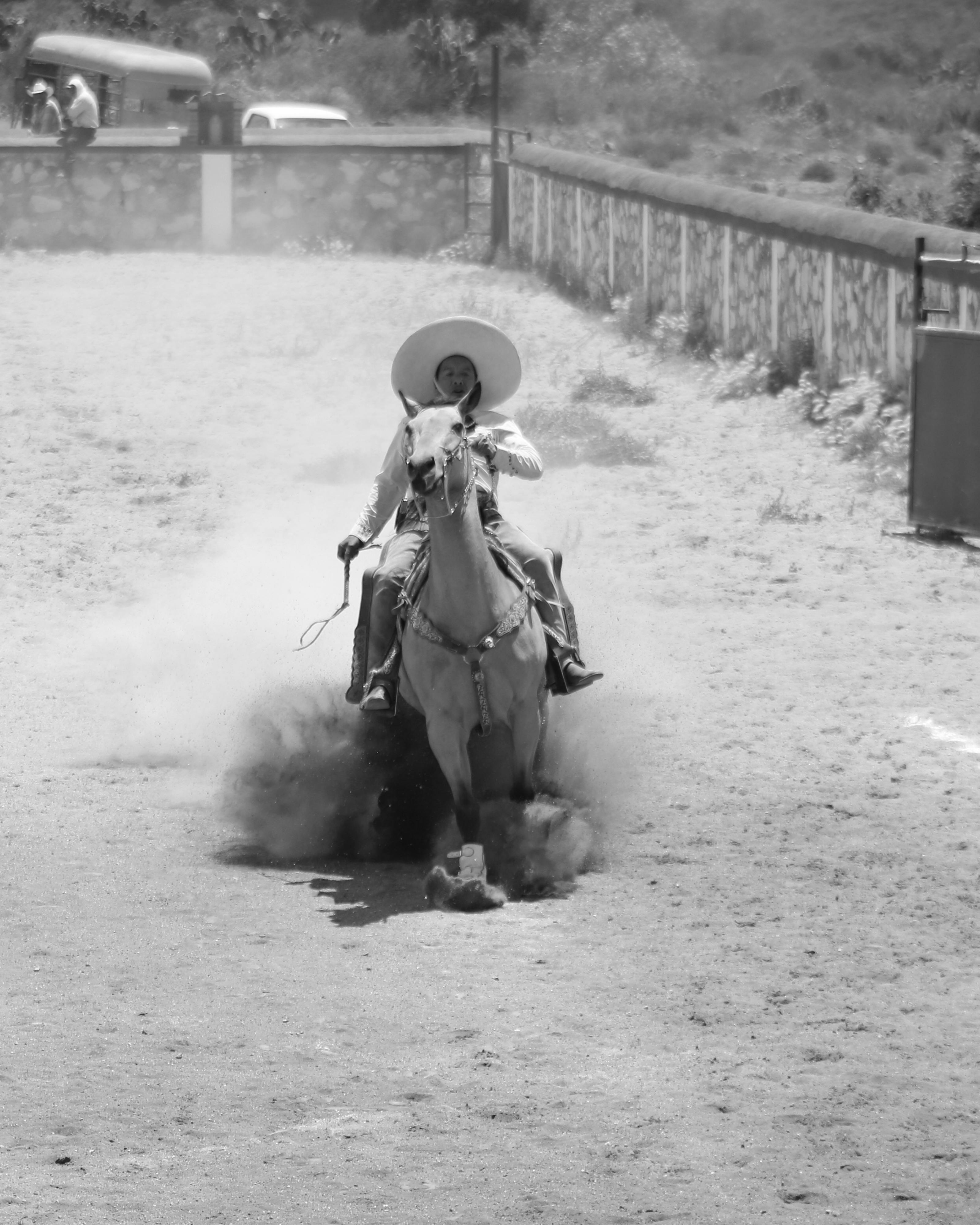Cowboy Riding Horse in Rodeo in Black and White · Free Stock Photo