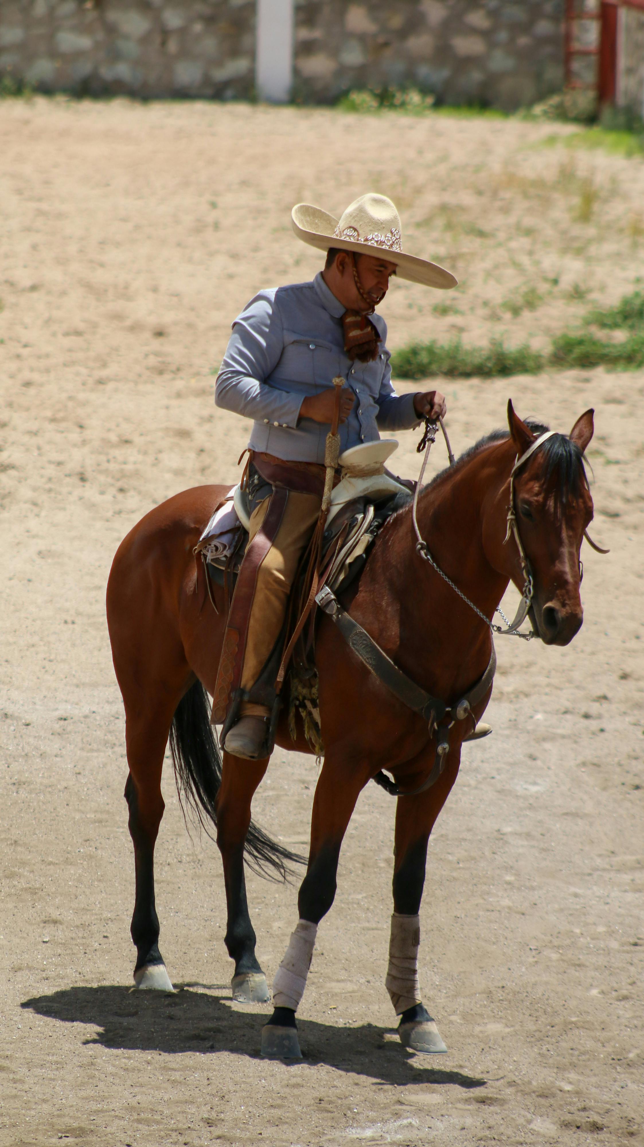 Photo of Person Riding a Horse · Free Stock Photo