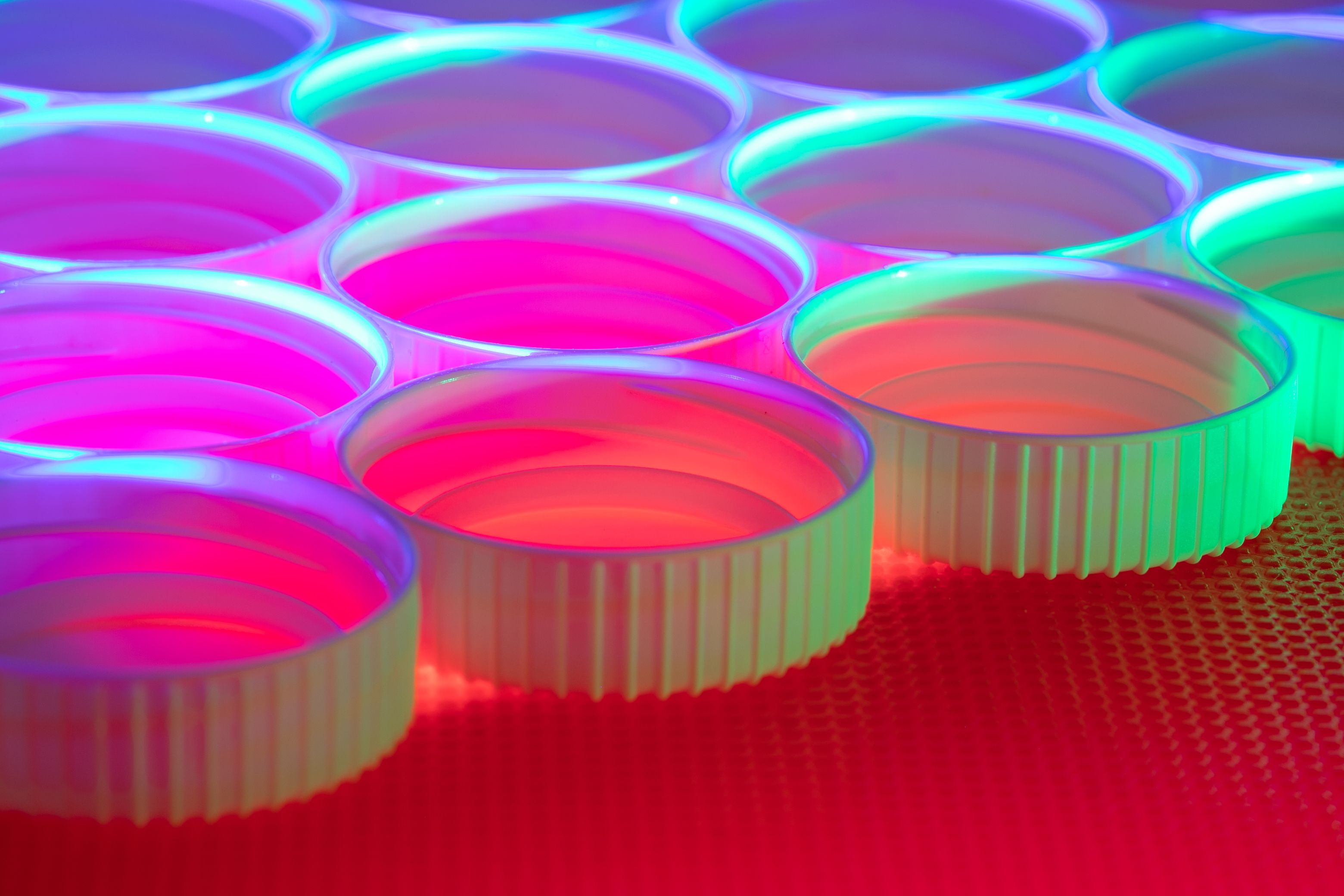 Photo Of Plastics Photos, Download The BEST Free Photo Of Plastics ...