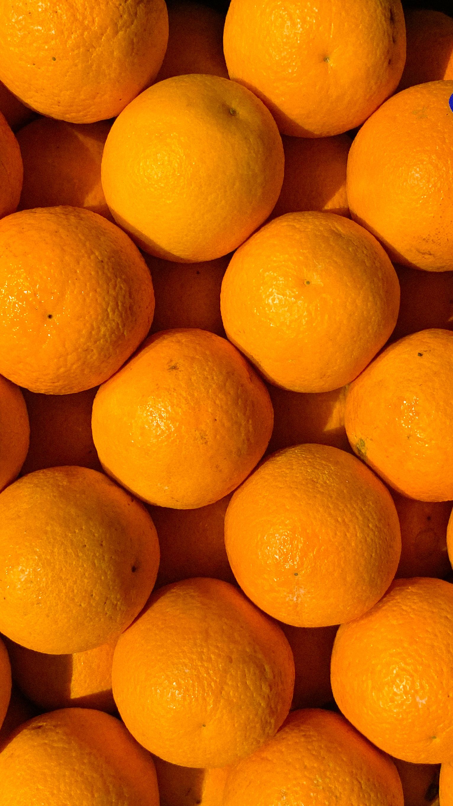 Close up of Oranges · Free Stock Photo