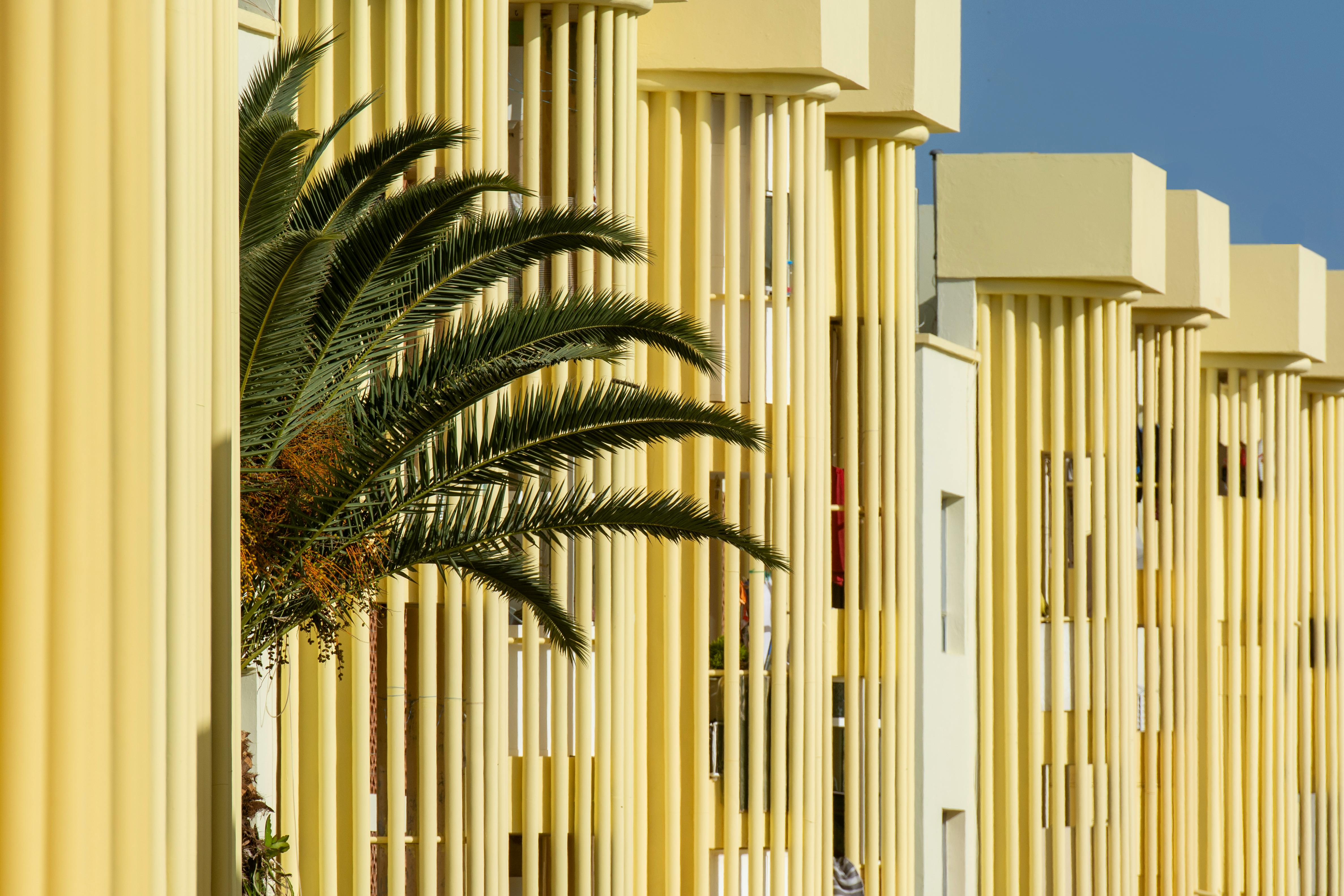 A row of tall yellow columns with palm trees · Free Stock Photo