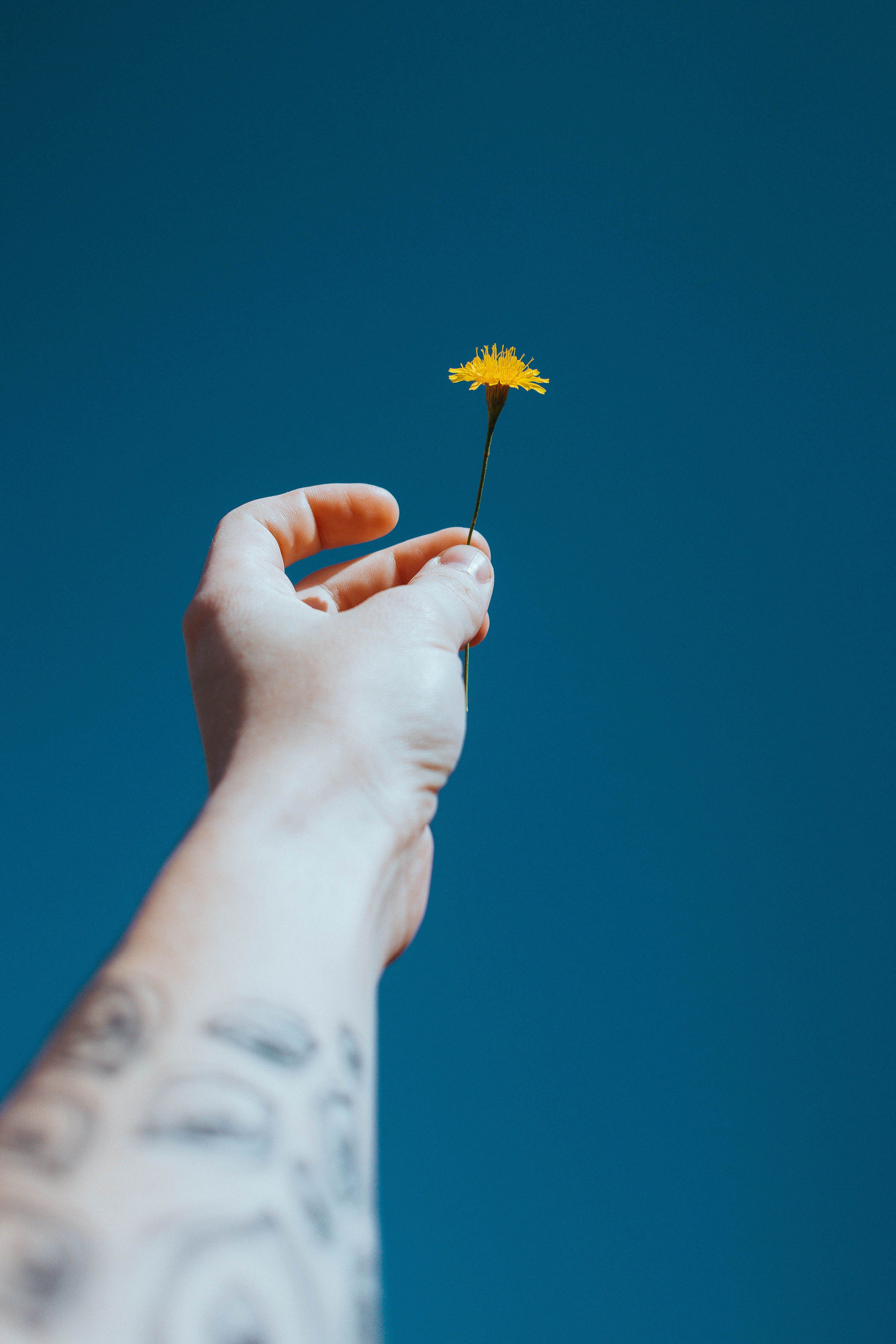Color Blue Simple Photos, Download The BEST Free Color Blue Simple ...