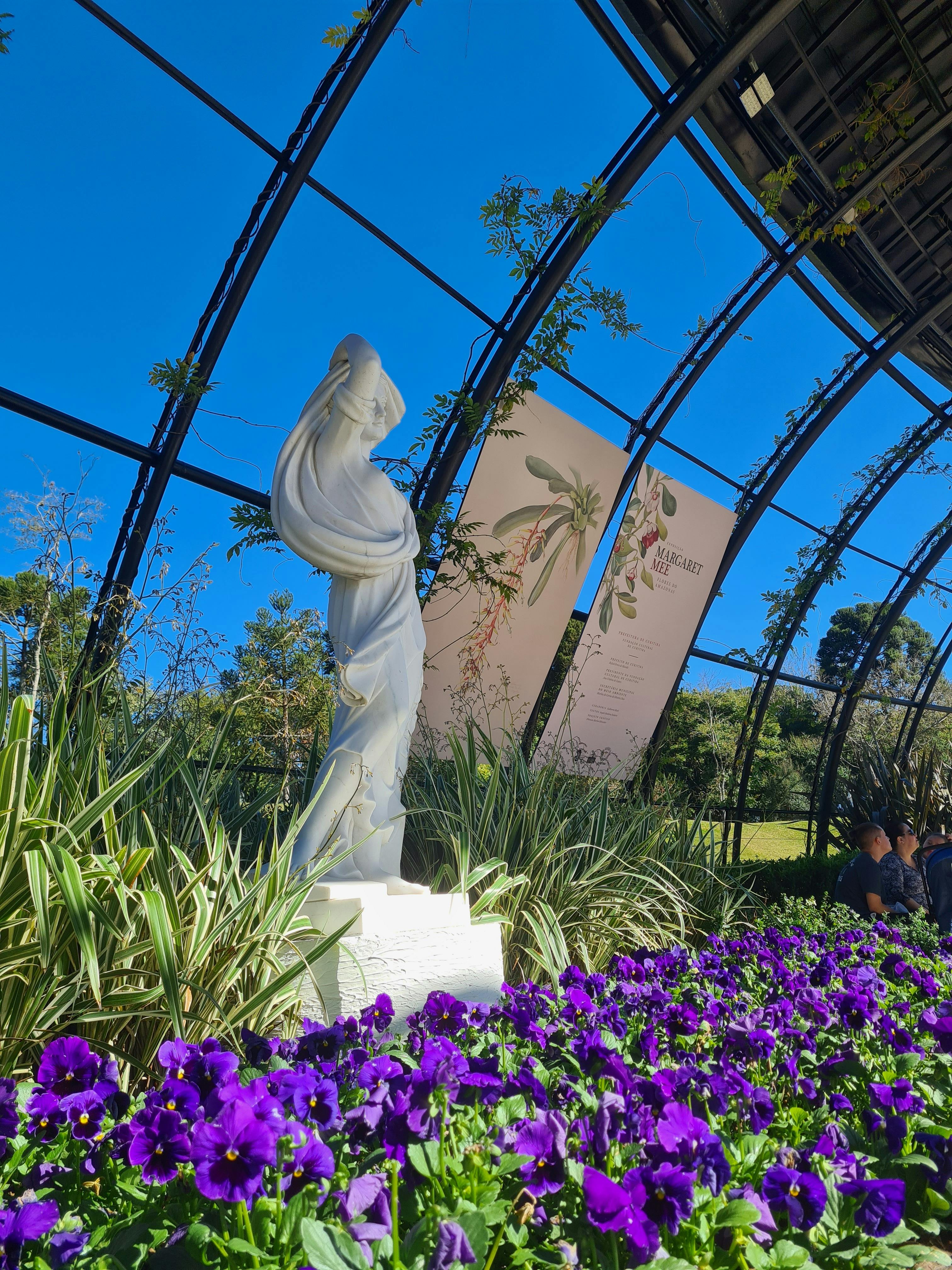 Sculpture and Violets in Greenhouse · Free Stock Photo