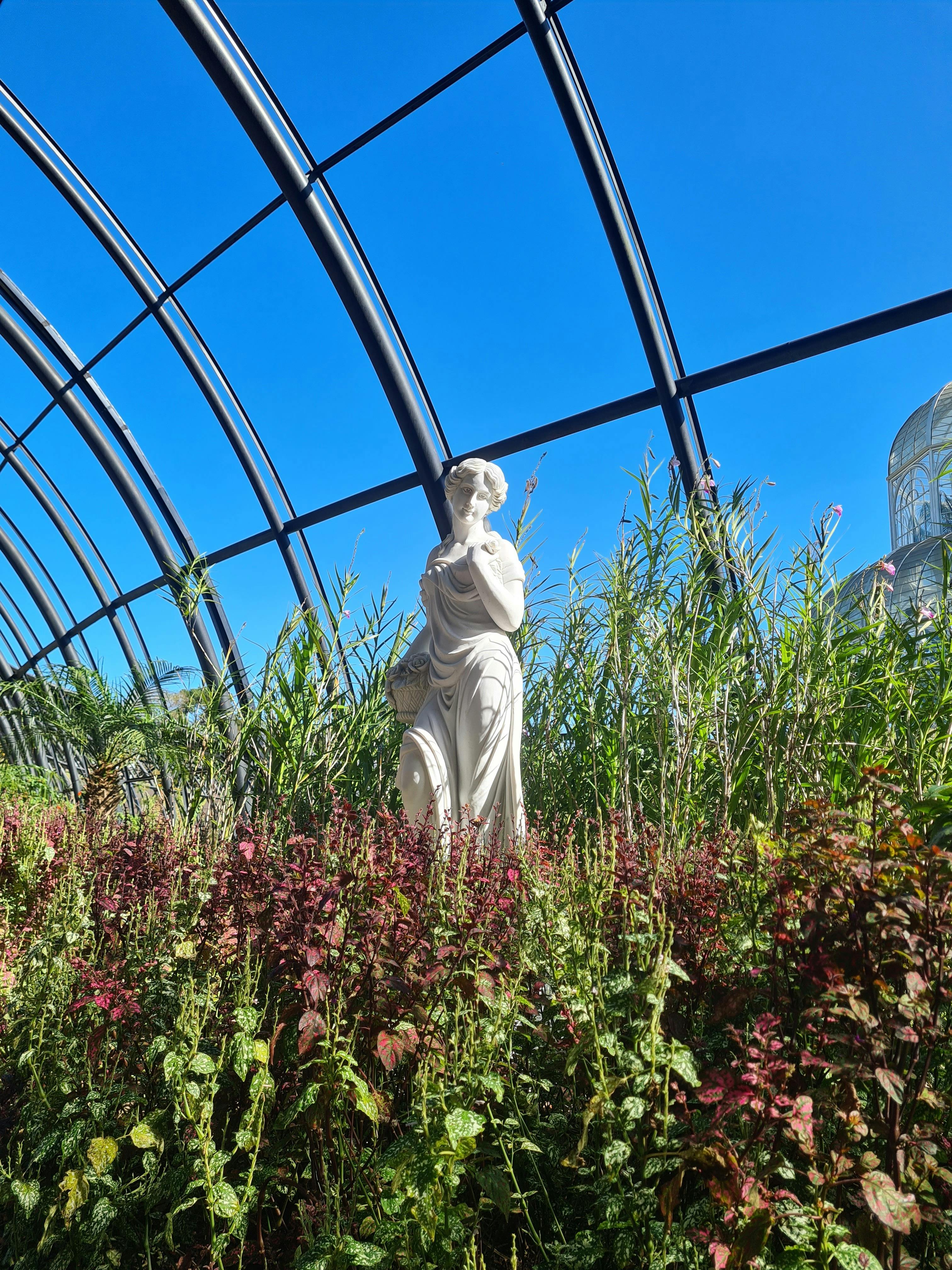 A statue in a greenhouse with plants and flowers · Free Stock Photo