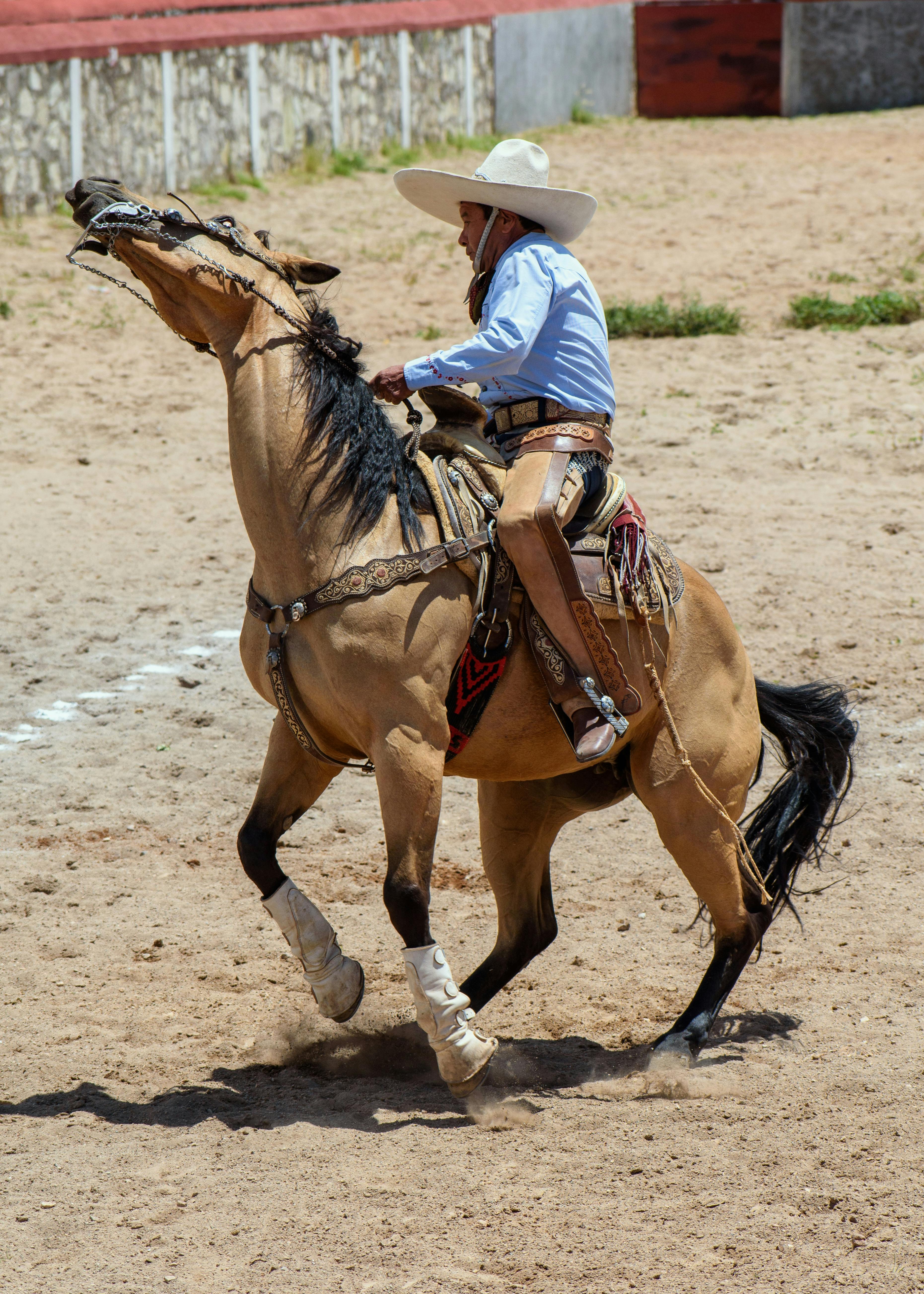Foto de stock gratuita sobre accesorio de sombrero, acción, actuación ...
