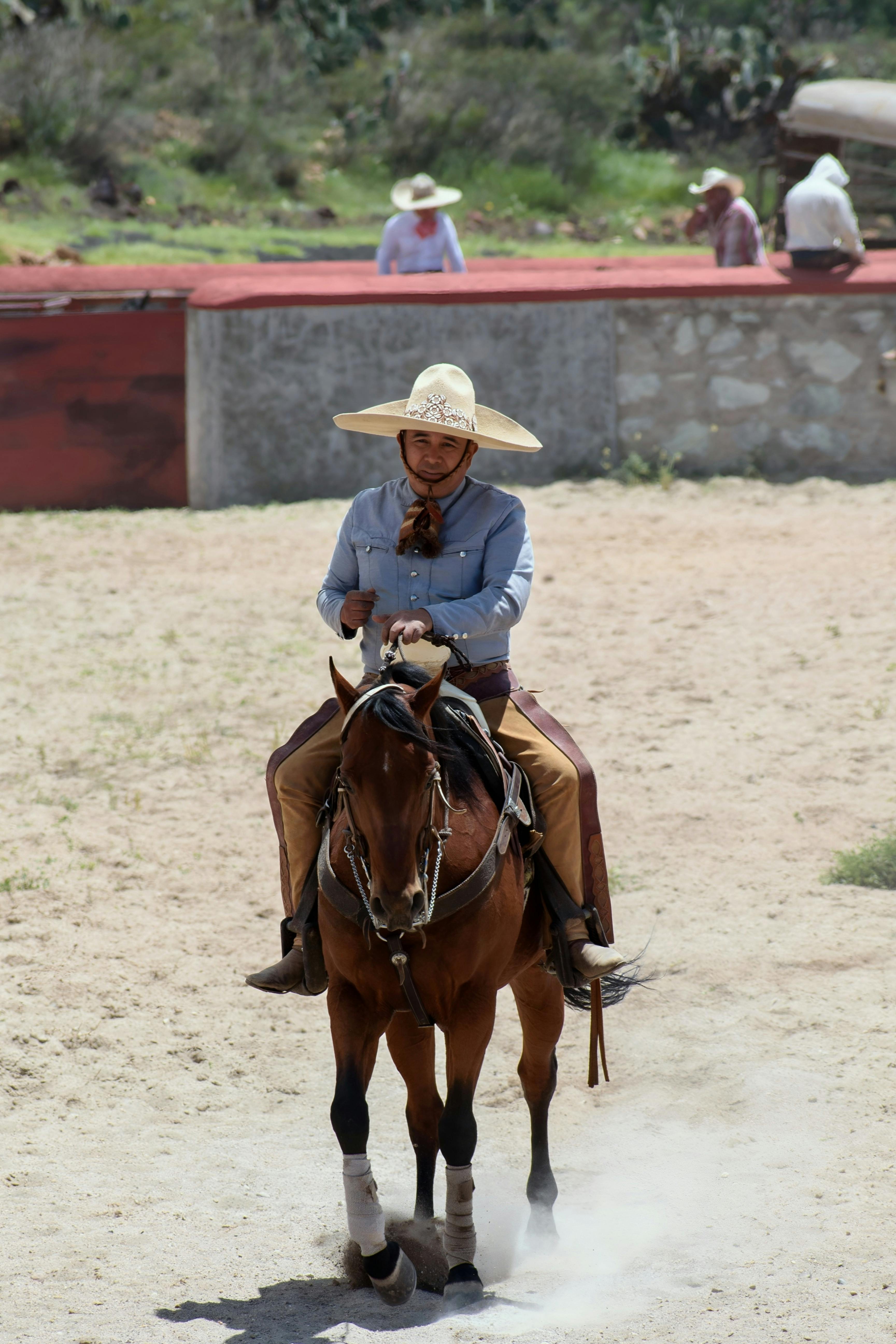 A man in a cowboy hat riding a horse · Free Stock Photo