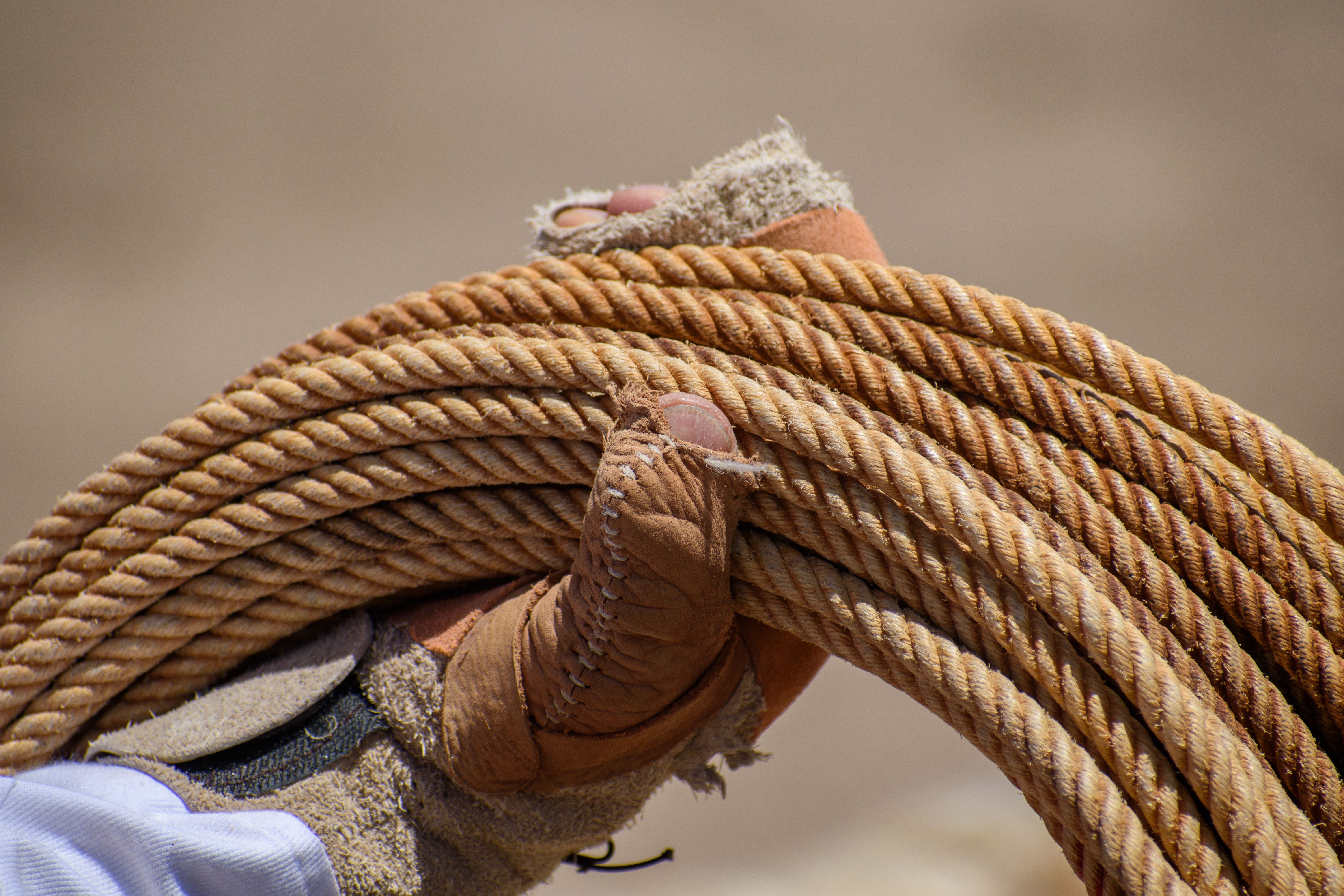Foto de stock gratuita sobre accesorio de sombrero, agarre, agricultura ...