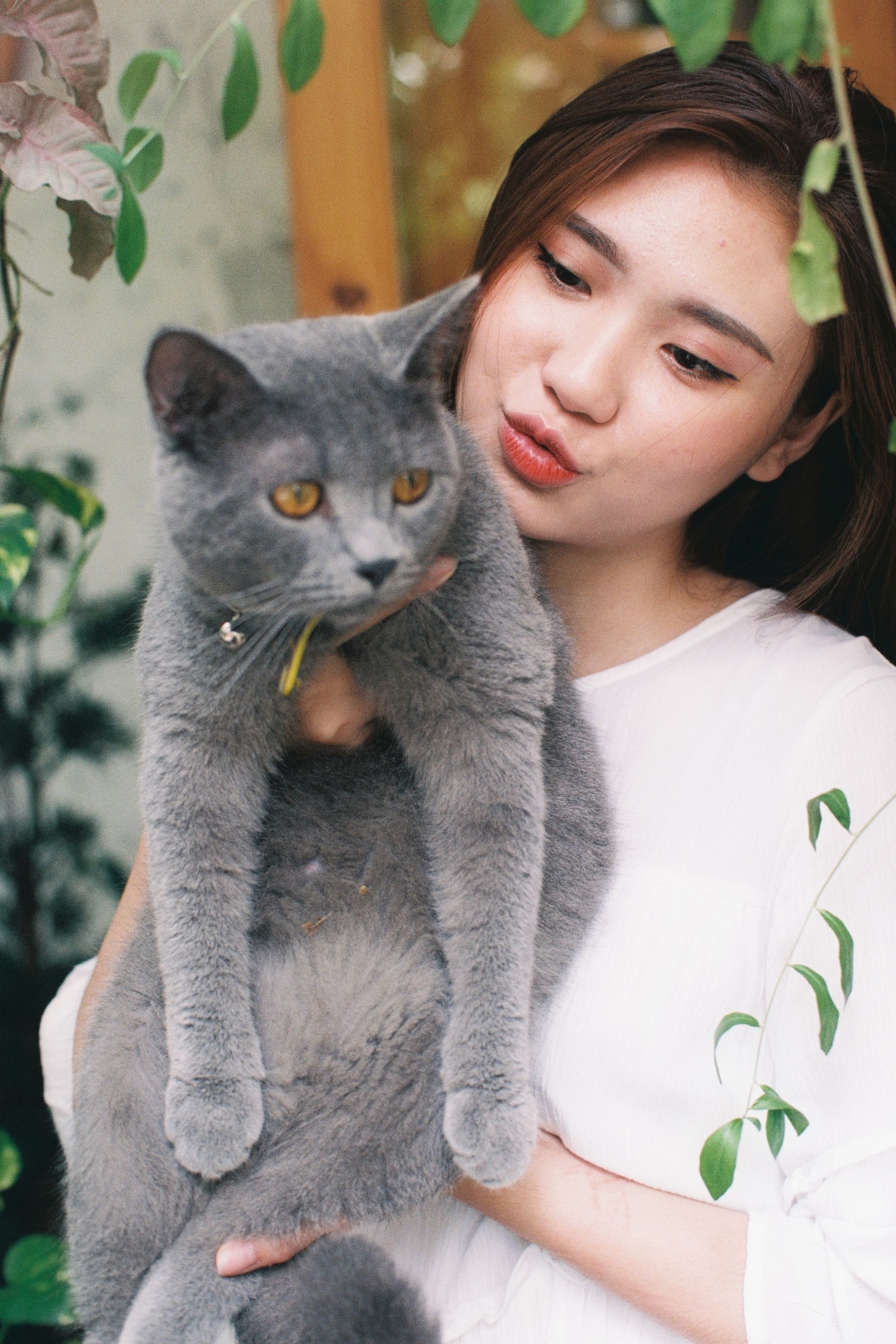 Cat And Human Photos, Download The BEST Free Cat And Human Stock Photos ...