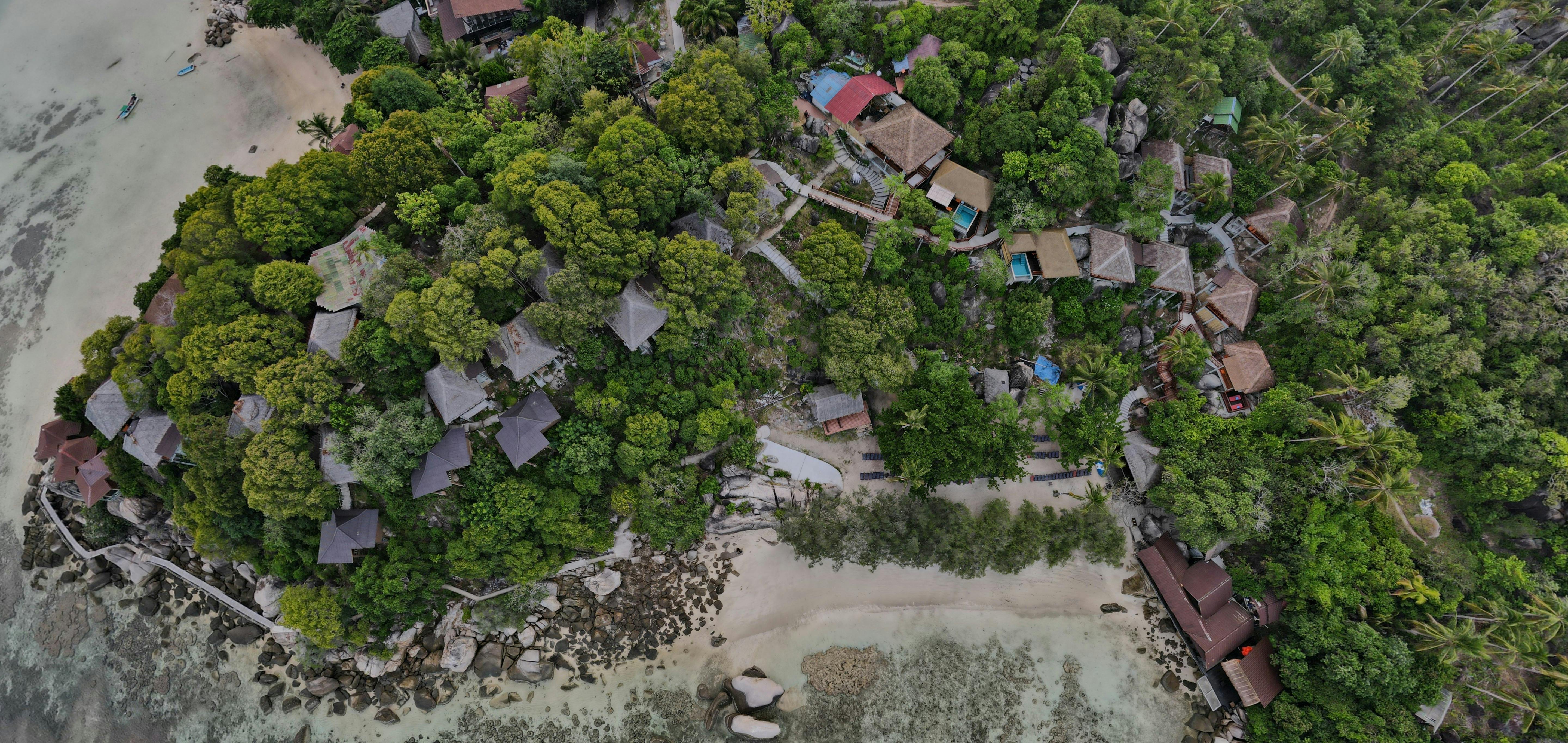 Pictoa+Areolas Photos, Download The BEST Free Pictoa+Areolas Stock ...