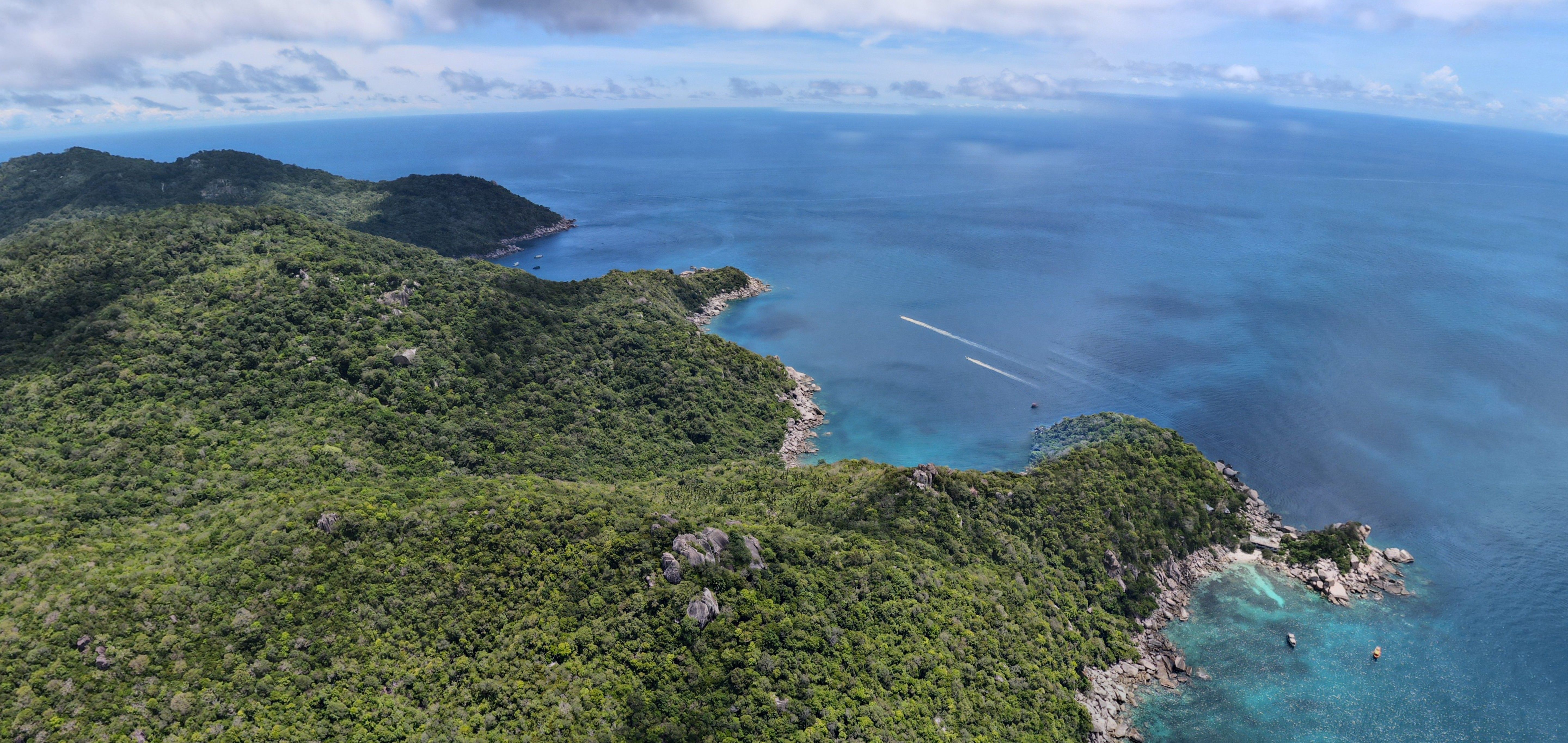 Scenic Aerial View of a Seashore with the Trees · Free Stock Photo