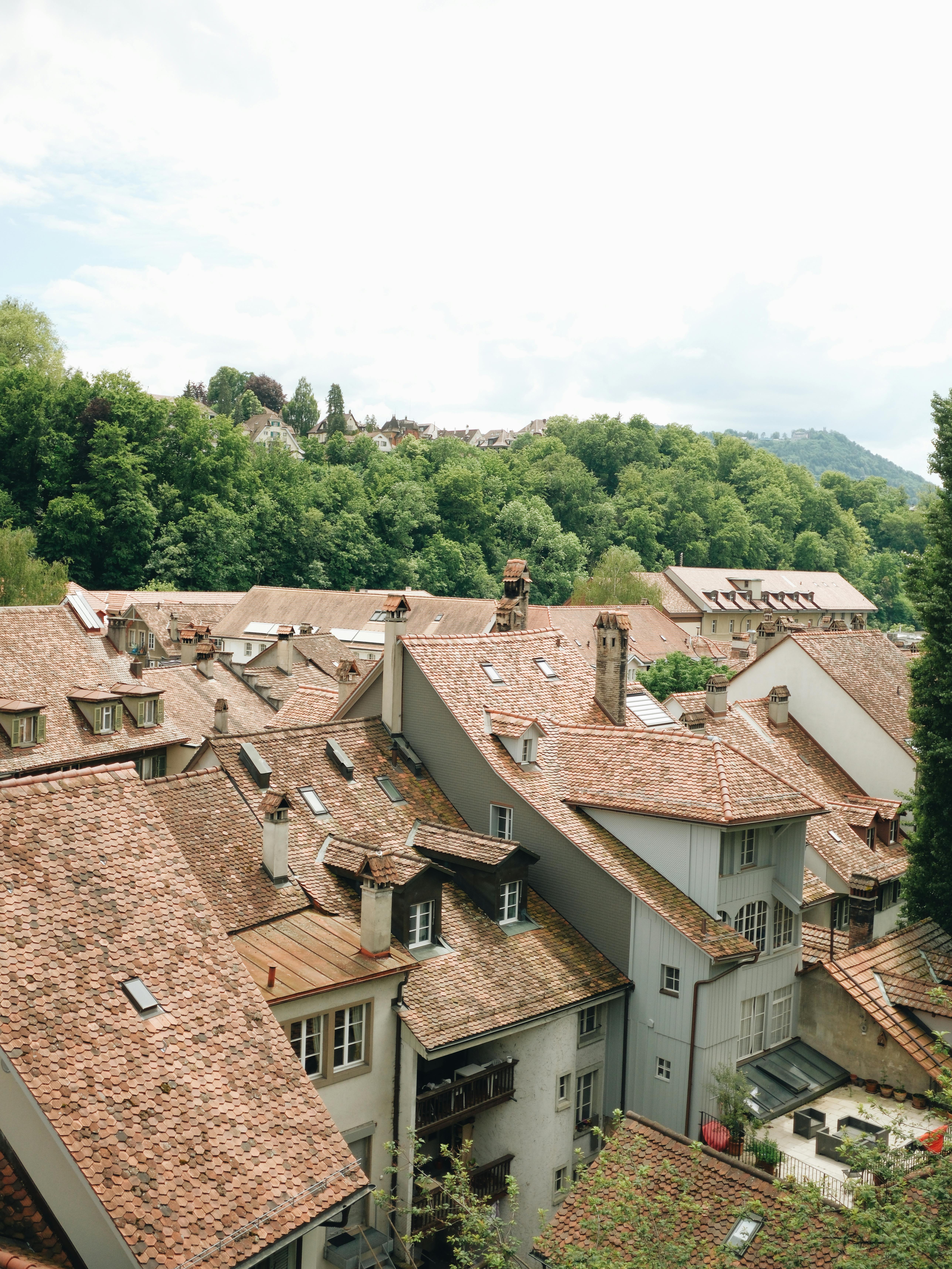 Tiled Rooftops of City · Free Stock Photo