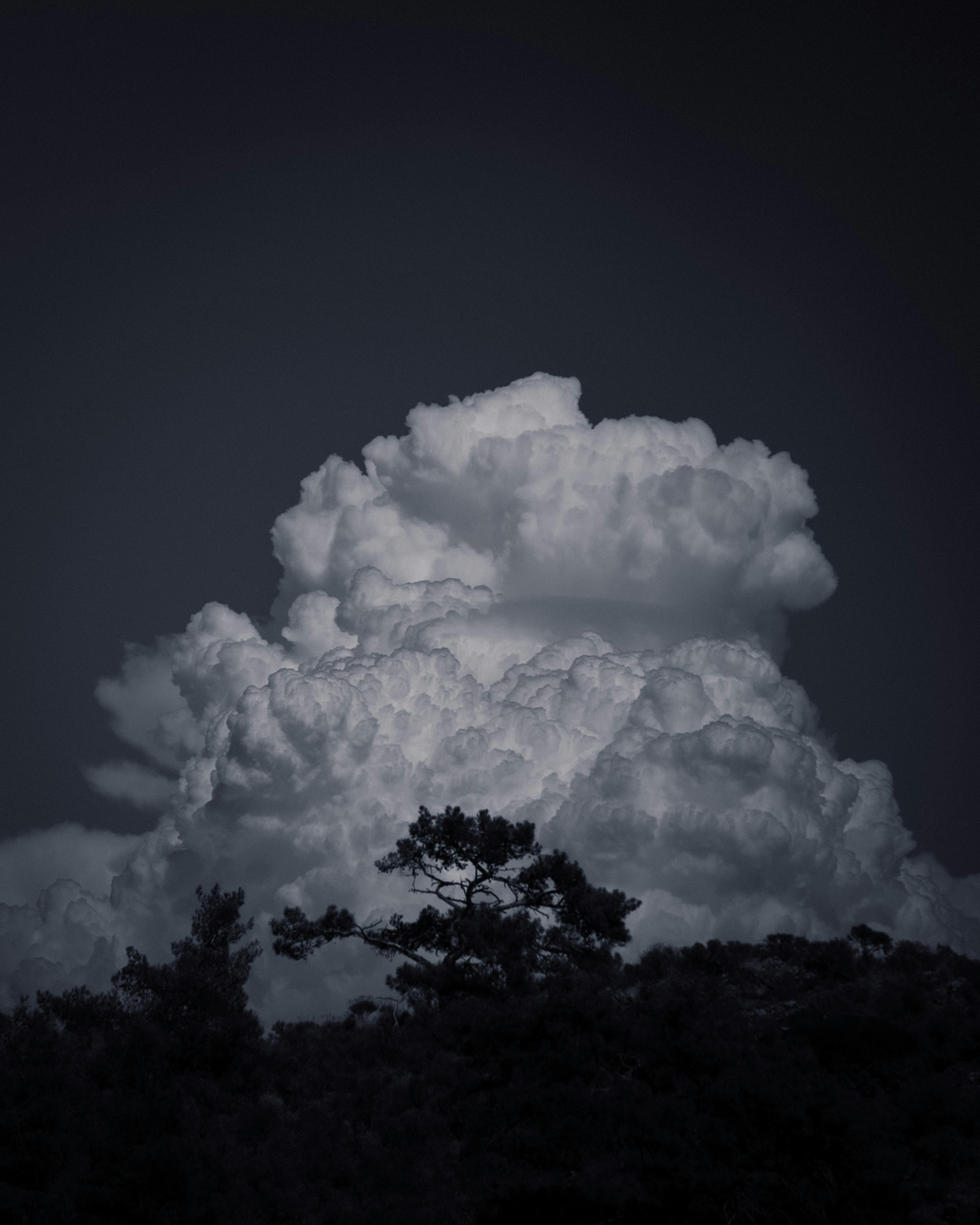 High Wind Storm Photos, Download The BEST Free High Wind Storm Stock ...