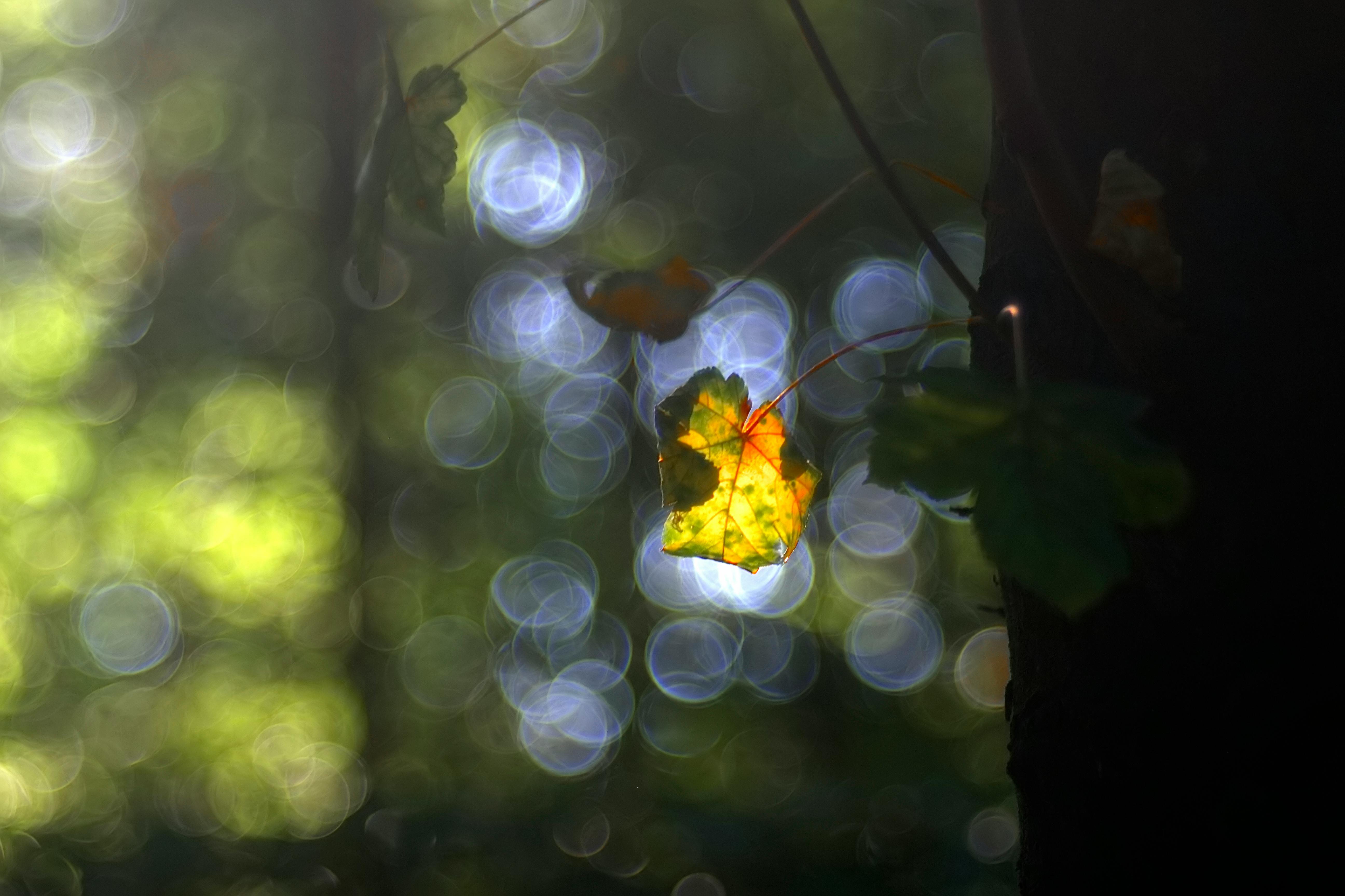 Still Background Photos, Download The BEST Free Still Background Stock ...