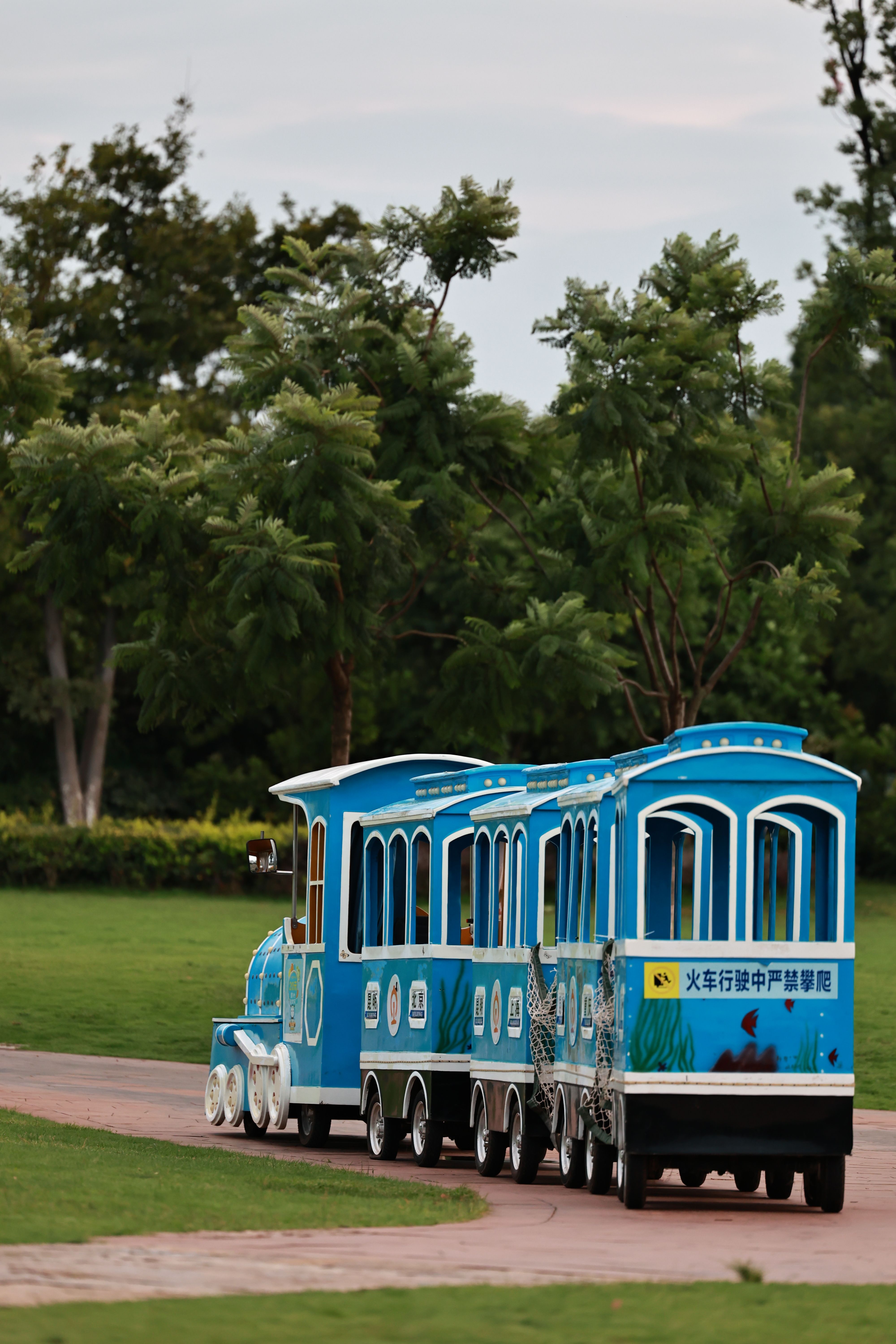 Blue Road Train Riding through Park · Free Stock Photo