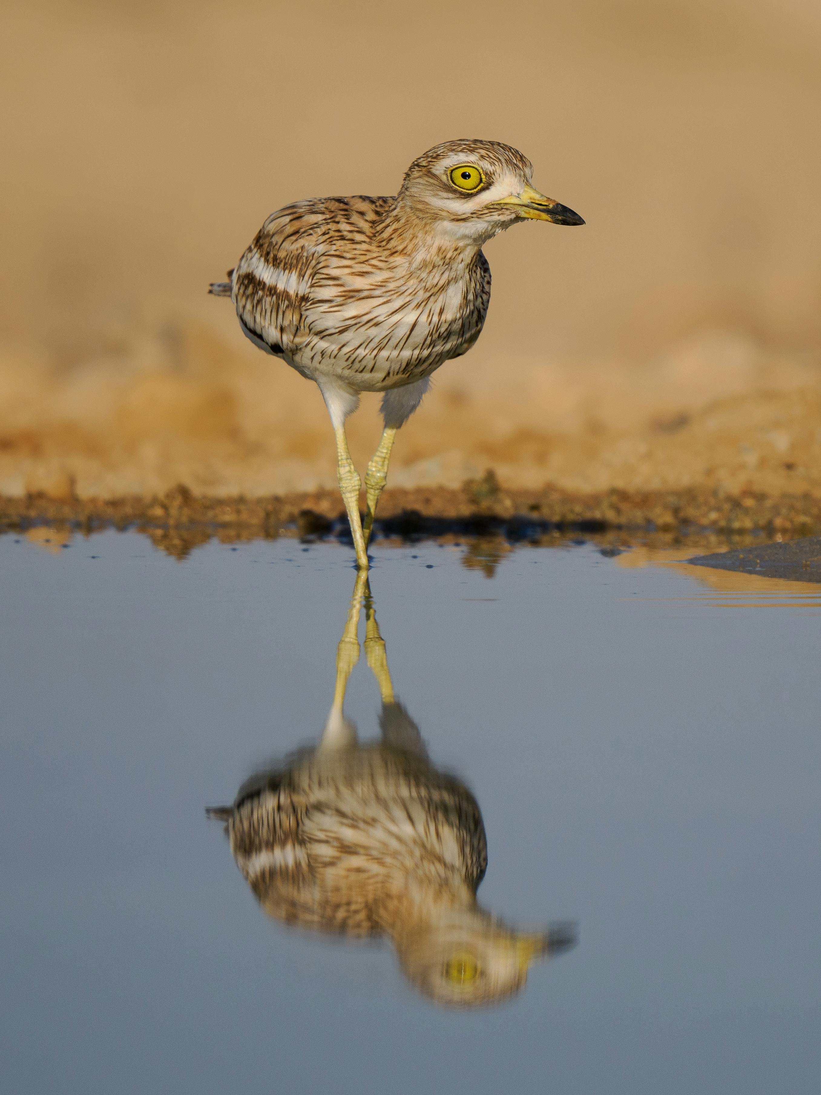 256 X 256 Photos, Download The BEST Free 256 X 256 Stock Photos & HD Images