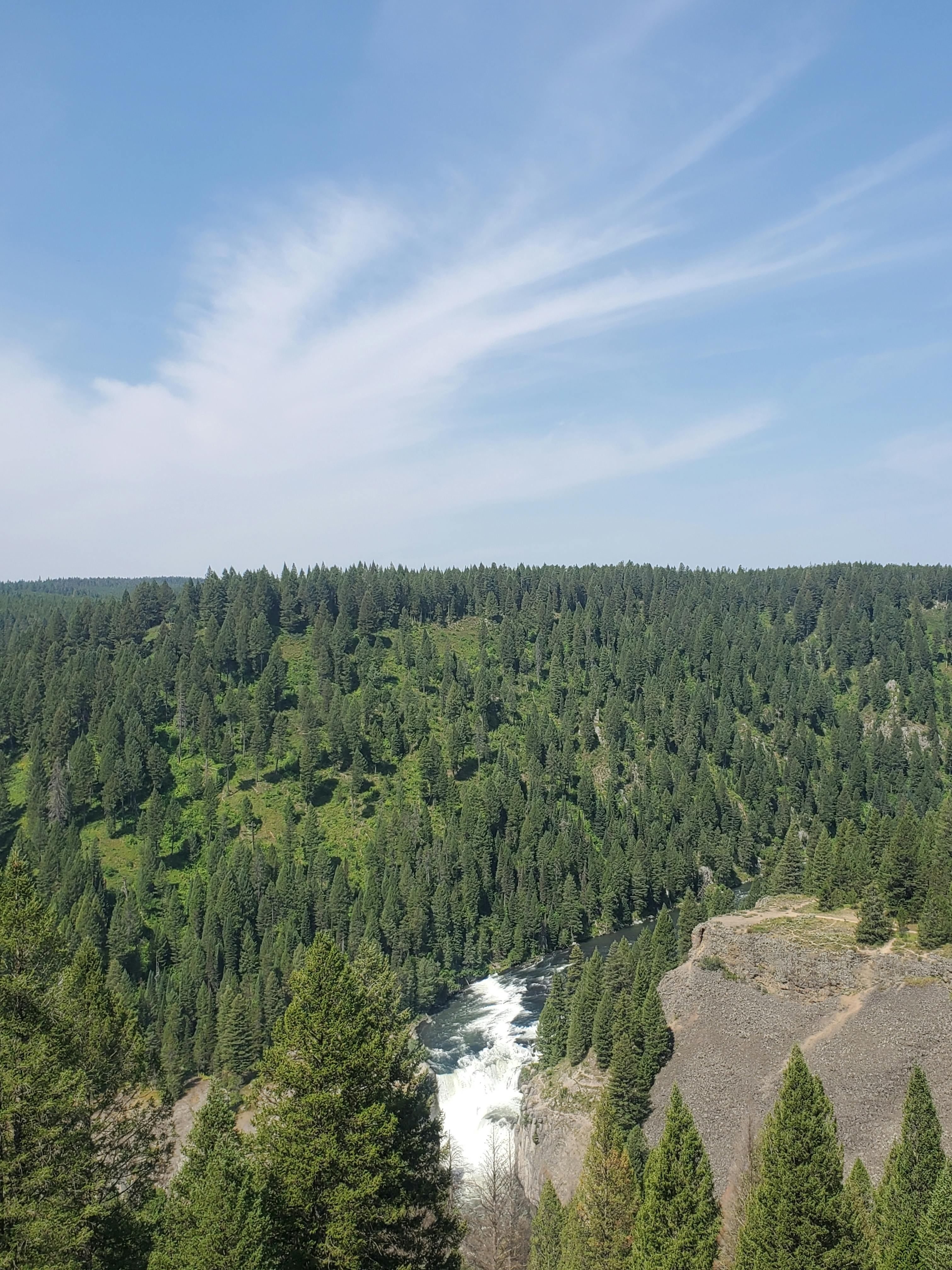 A view of a river and trees from a high vantage point · Free Stock Photo