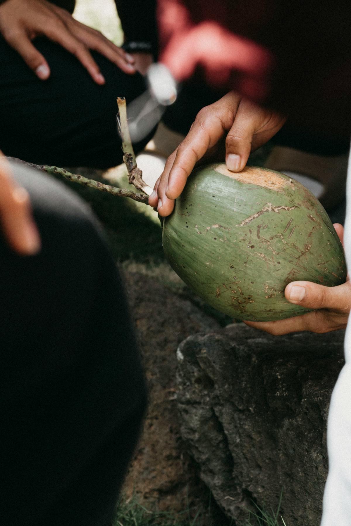 Coco Photos, Download The BEST Free Coco Stock Photos & HD Images